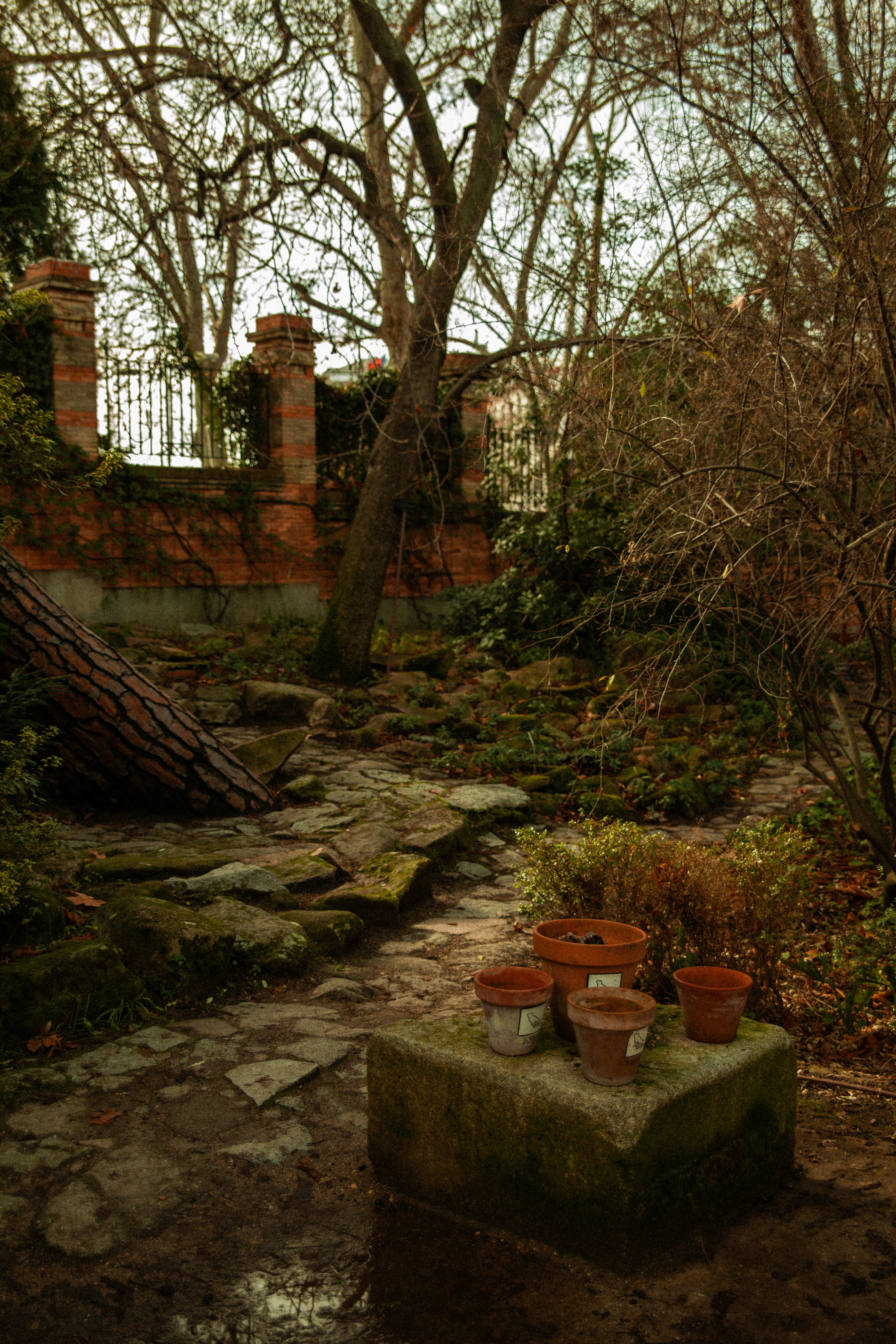 Mud-streaked courtyard with a stone staircase, a weathered pylon, and an arrangement of clay pots atop a mossy block; a bare tree and ivy-edged brick wall frame a tranquil, late-season garden scene.