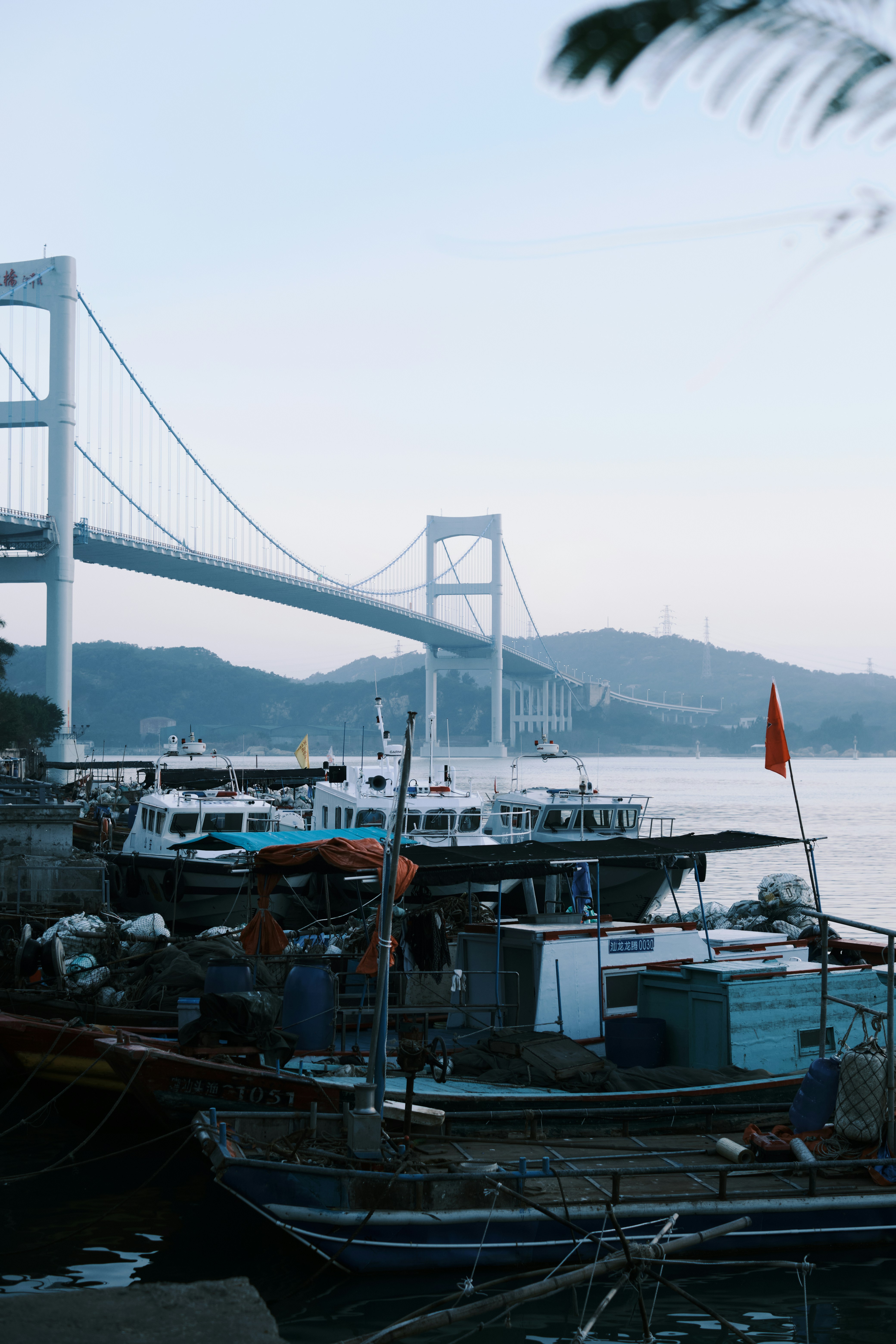 Coastal Harbor Under a Looming Suspension Bridge