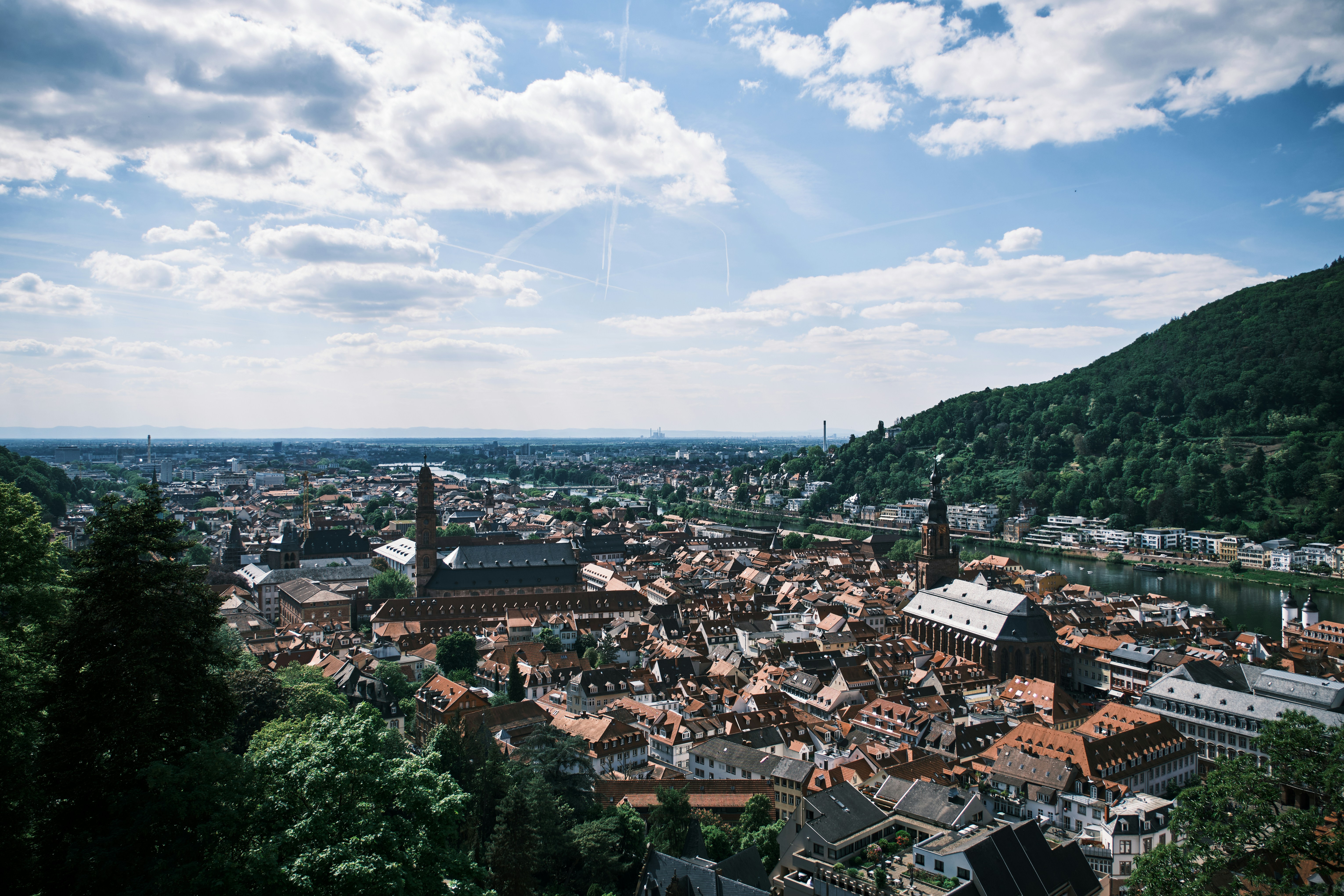 A Panorama of Rhine River Town from the Hillside
