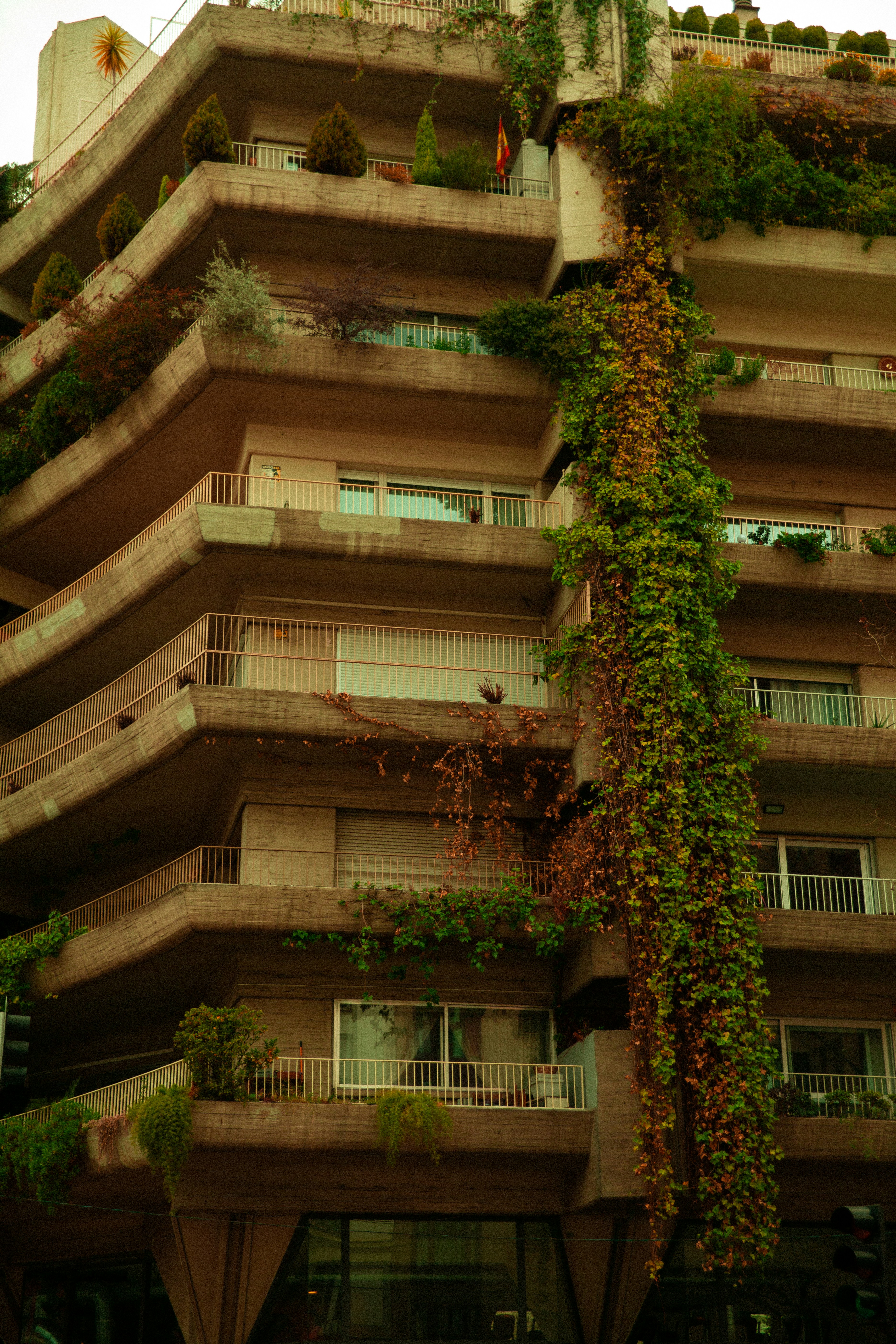 Vertical Concrete Garden: A Building Wrapped in Green