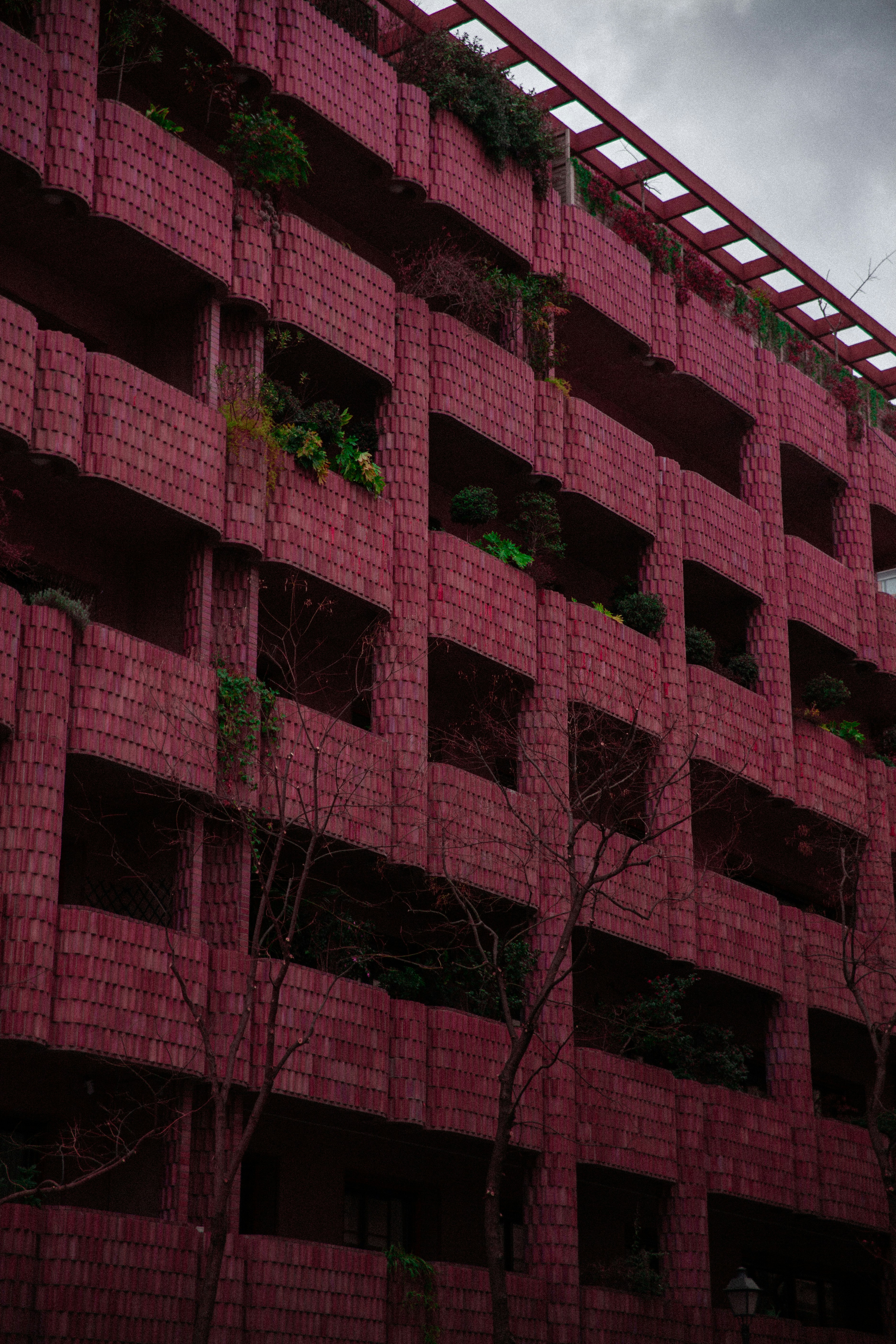 Crimson Modularist: A Veiled Jungle of Concrete and Foliage