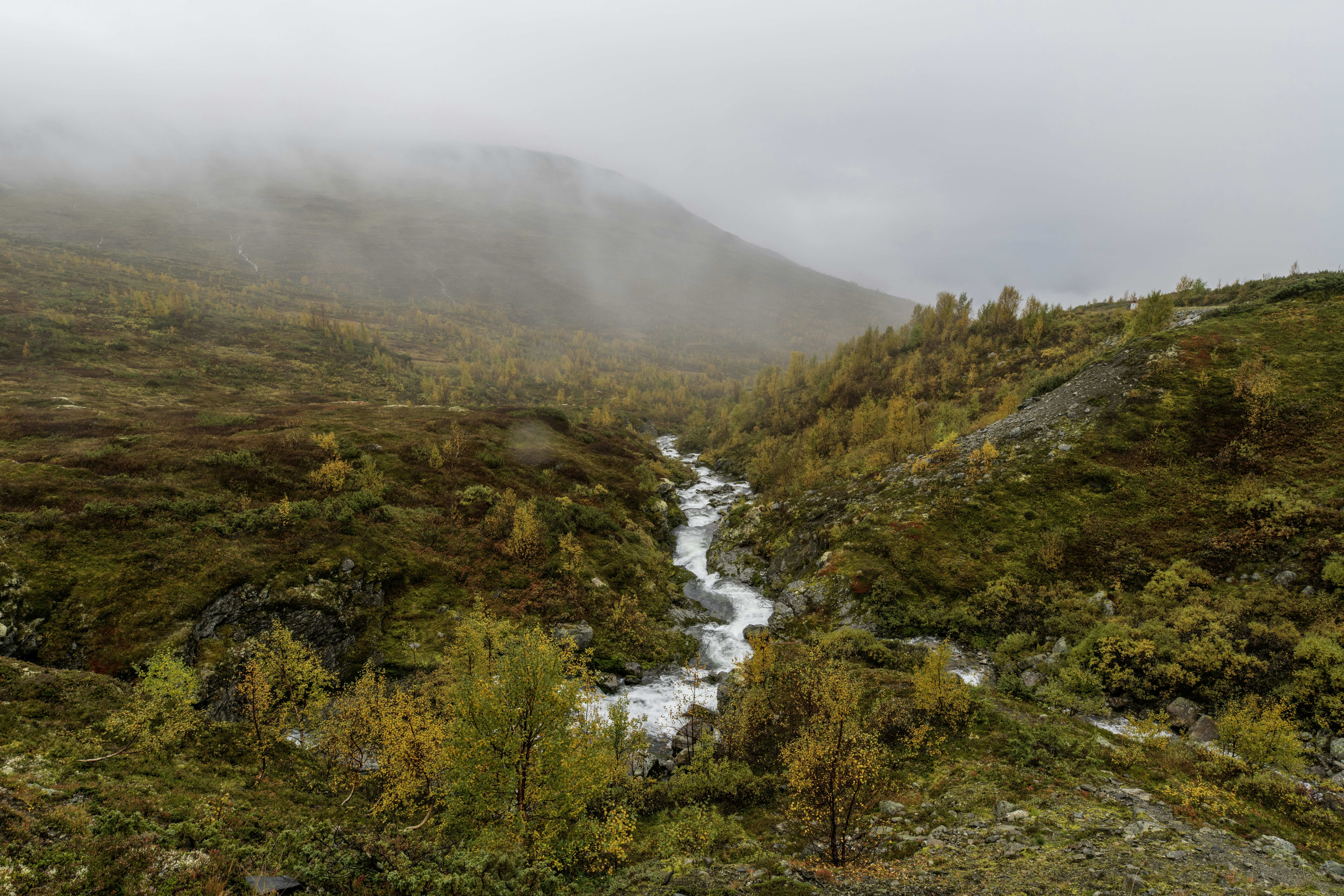 Autumn River Run Through Mist-Kissed Valley