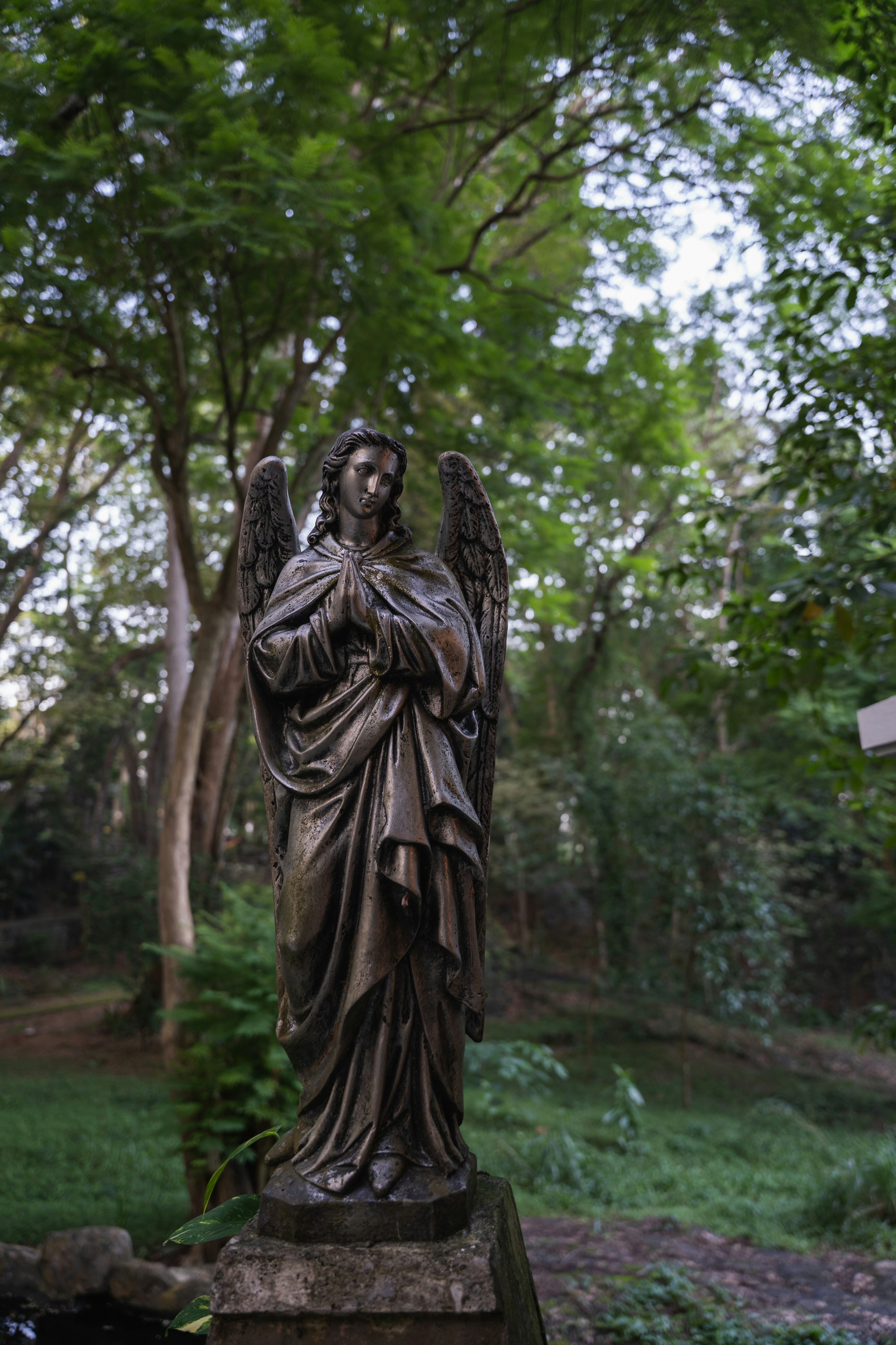 Guarding Quiet Nature: The Angel Statue Among Green Shadows