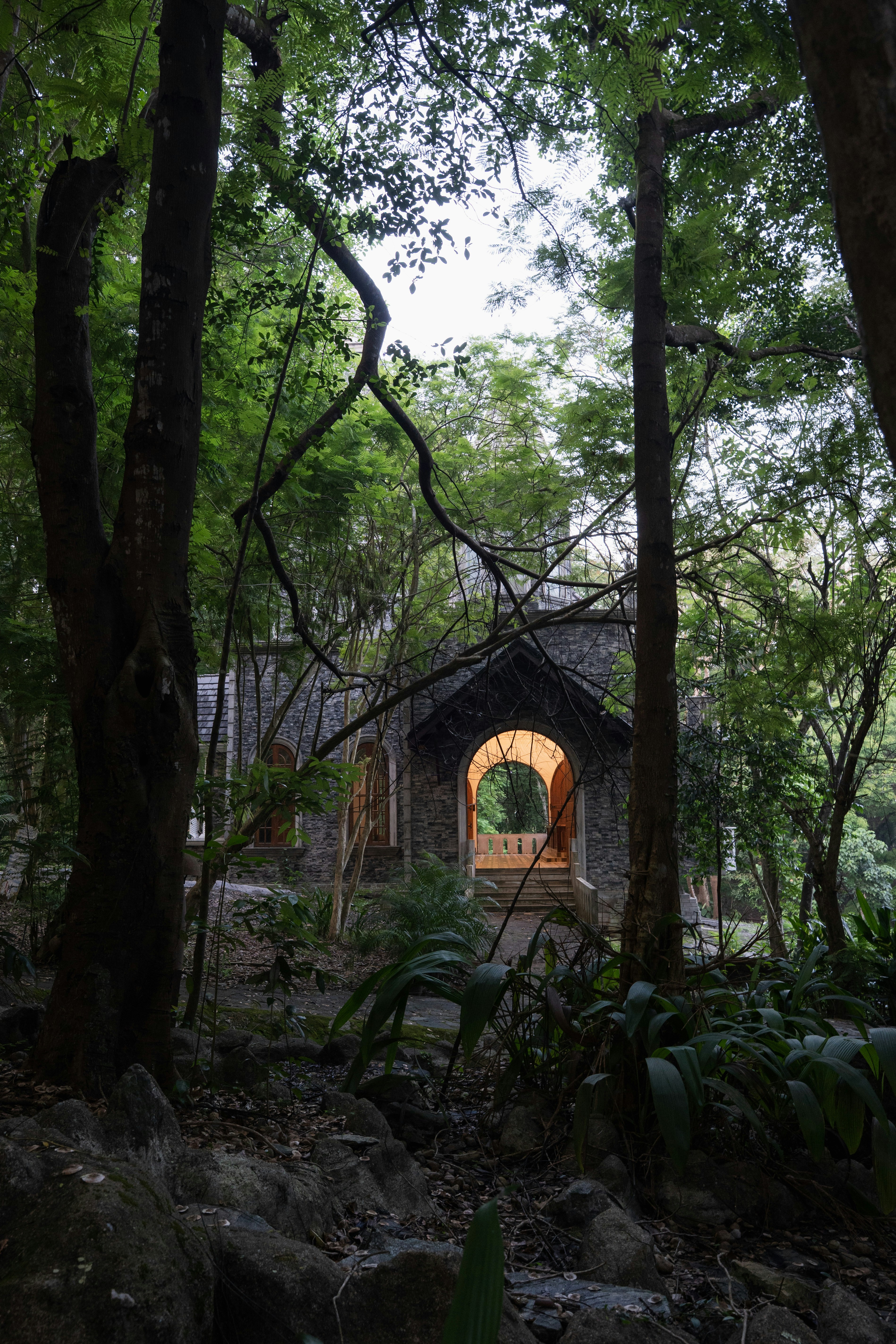 Hidden Archway Through the Green Wall