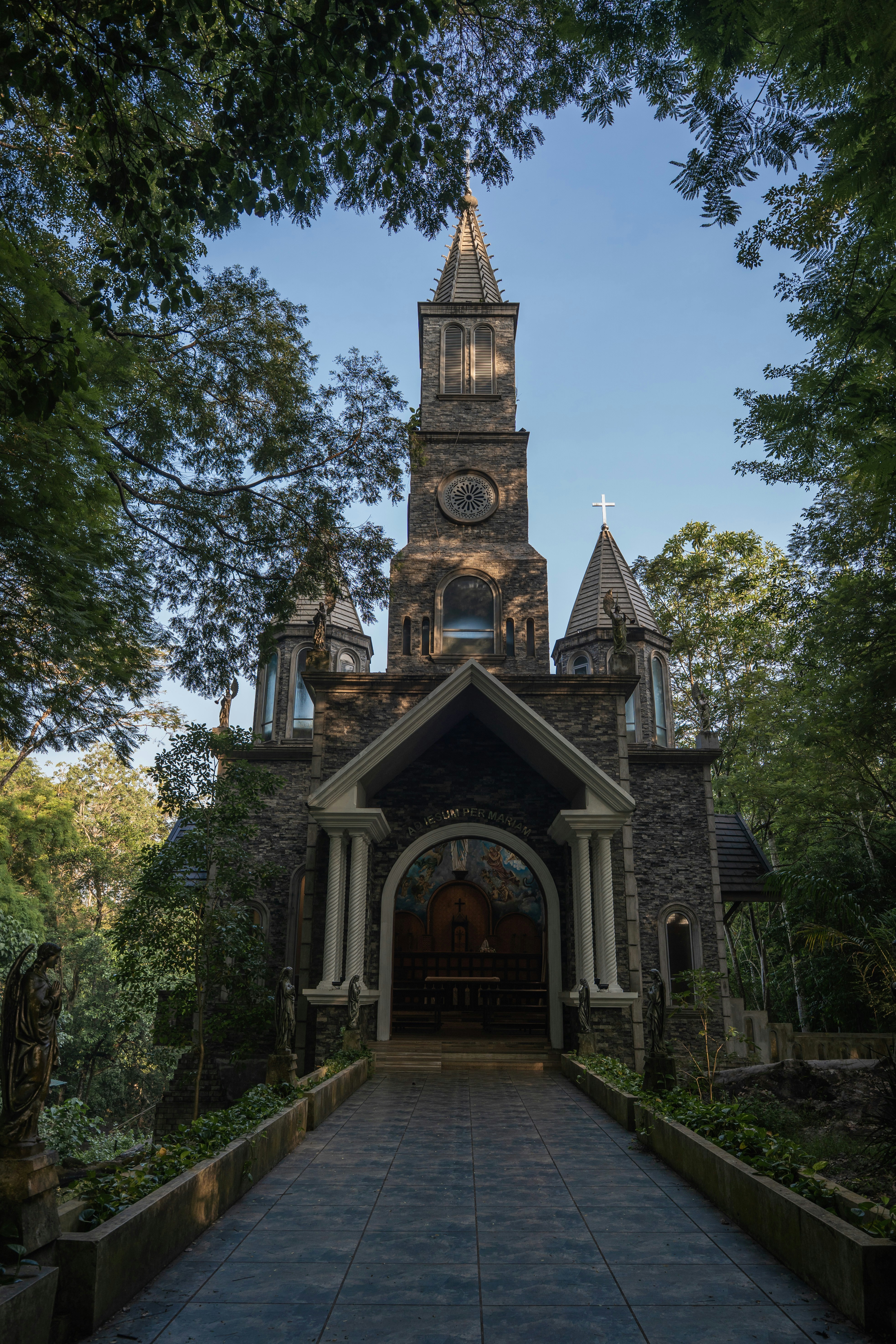 Stone Chapel Rising: A Gothic Steeple Framed by Forest Canopy