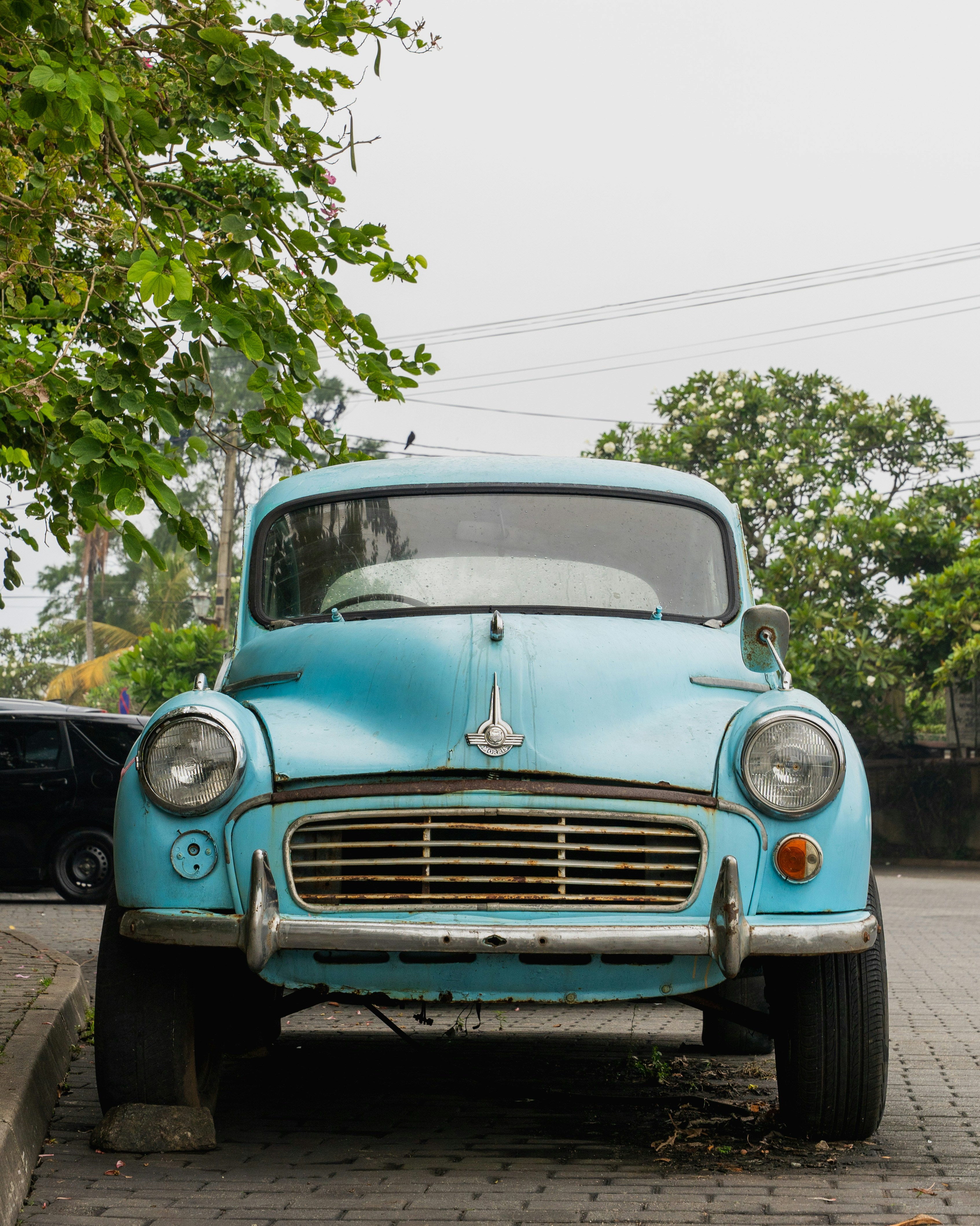 A turquoise vintage Chevy Grille at Rest on a Quiet Street