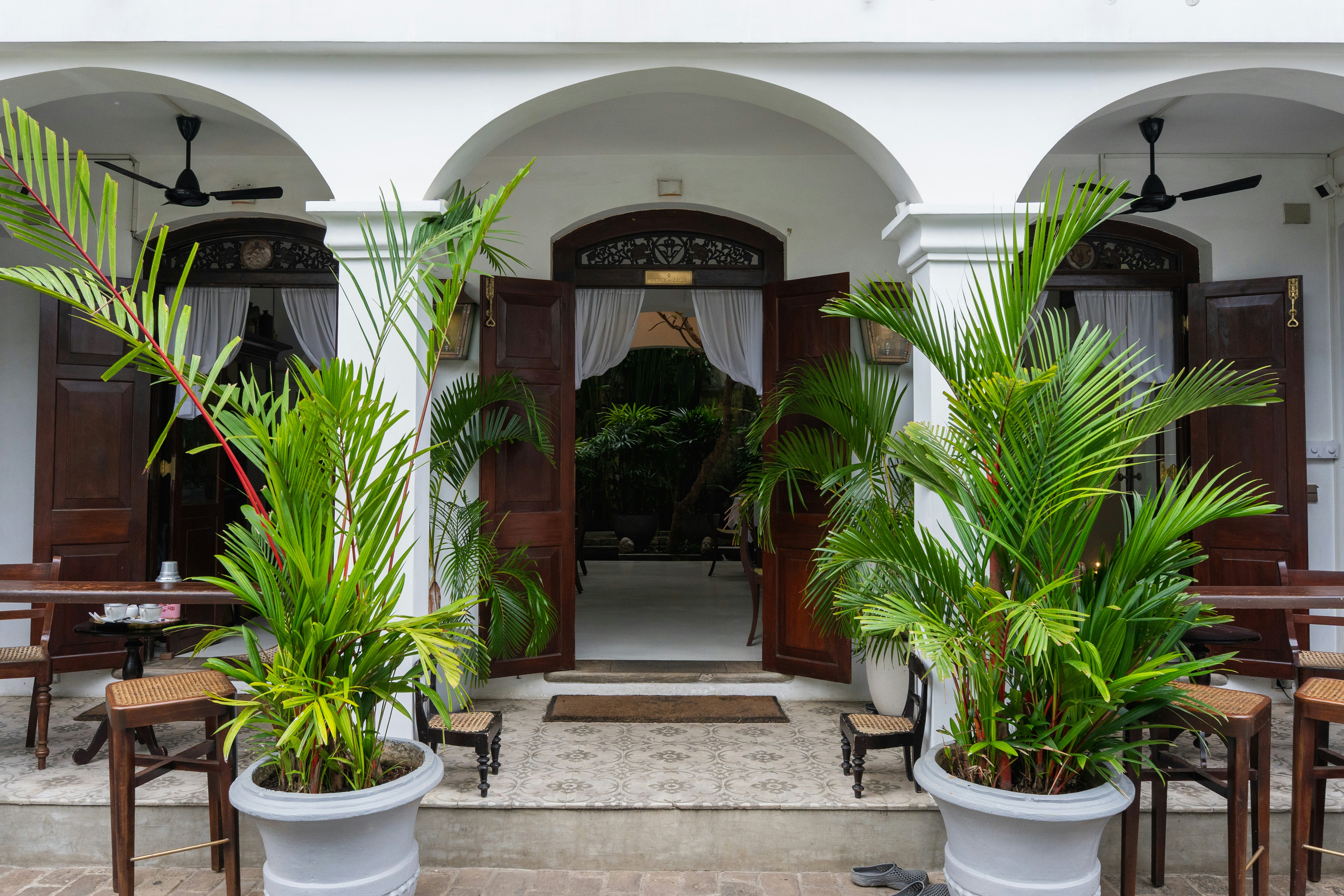Arched Entrance Framed by Lush Potted Palms