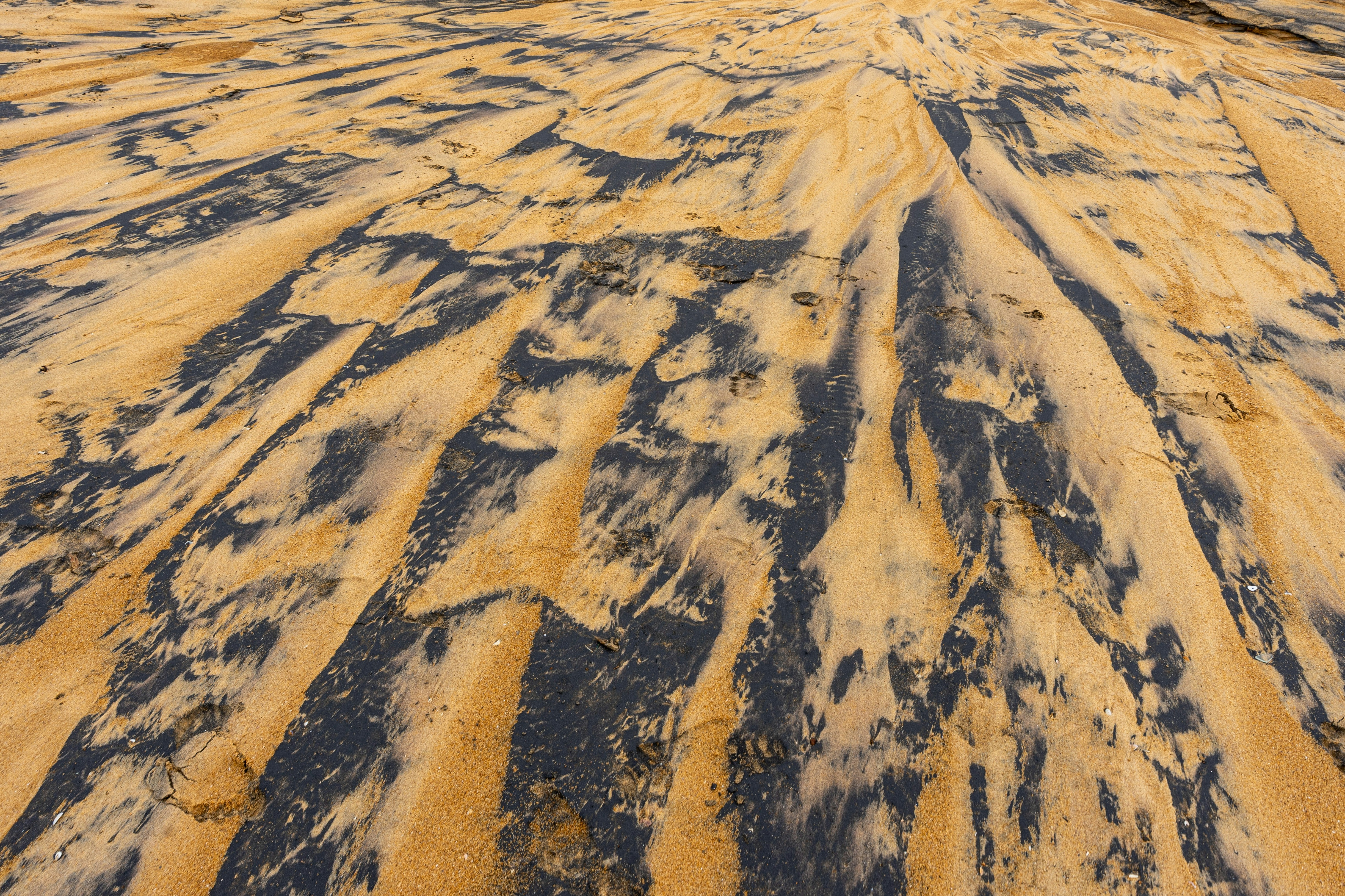 Windswept Desert Ridges: Striated Sands in Golden Light