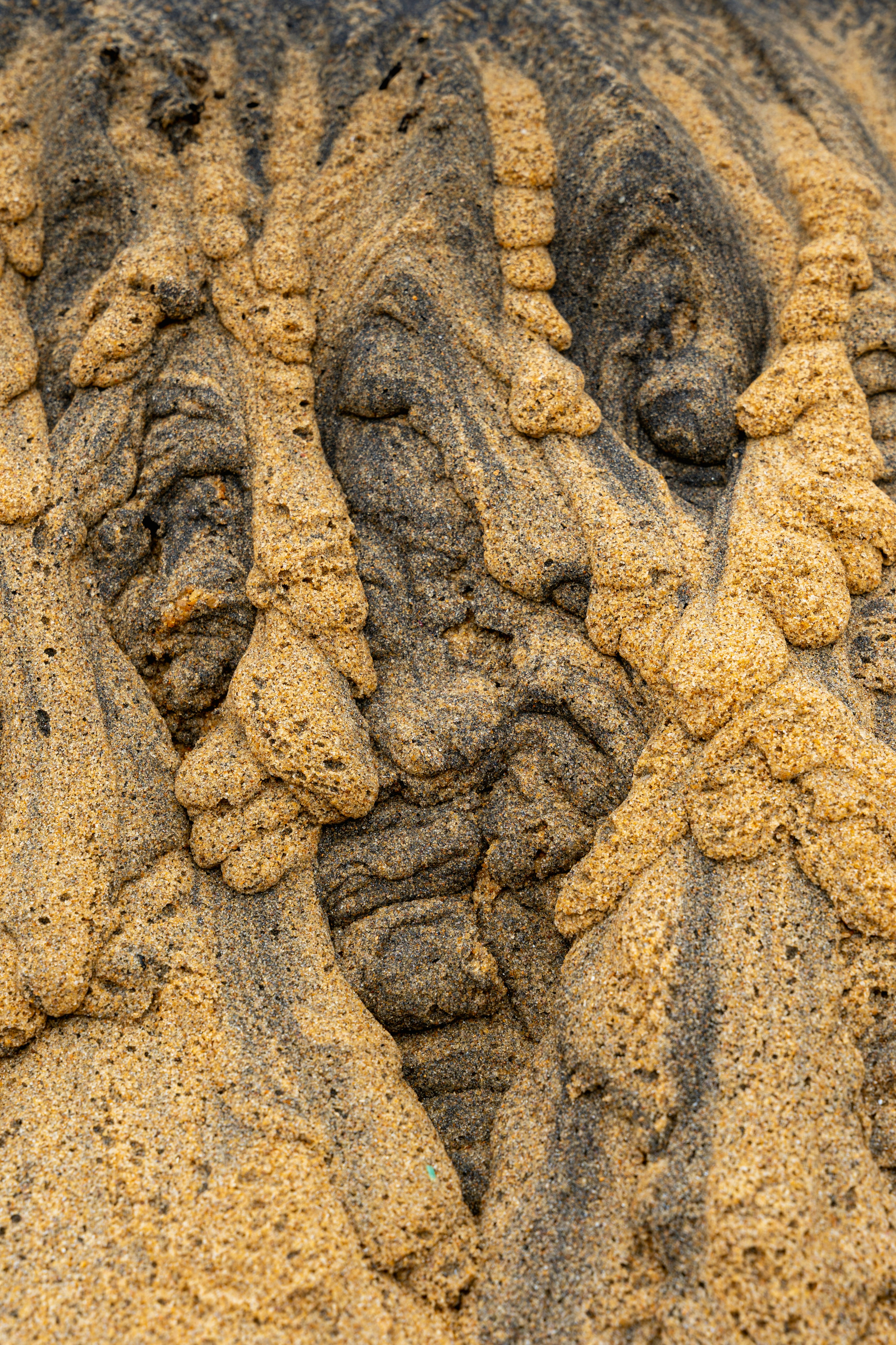 Sand Sculptures in Serenity: Curious Formations in Coastal Dunes
