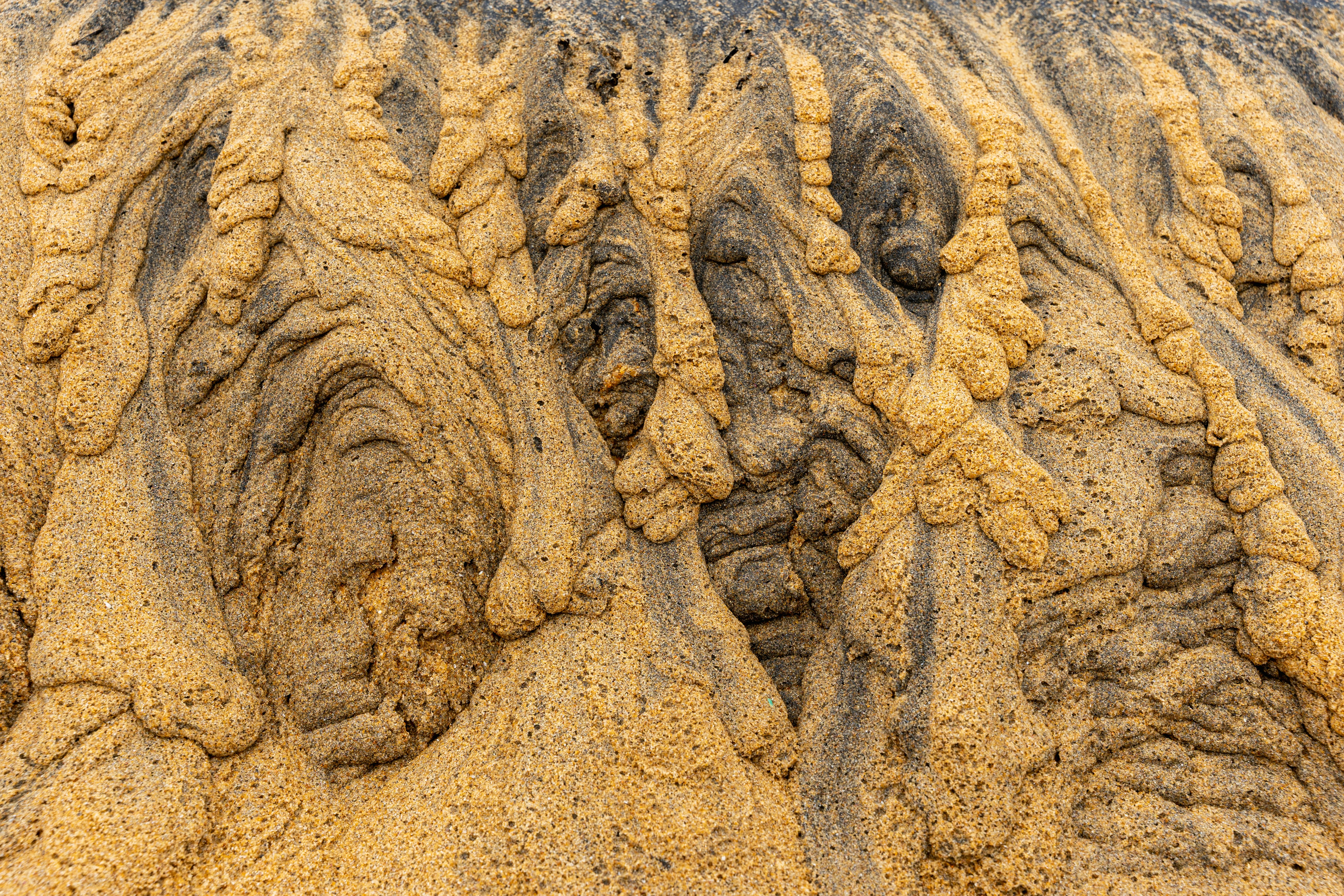 Wind-carved desert sculpture: tidal patterns in golden sand