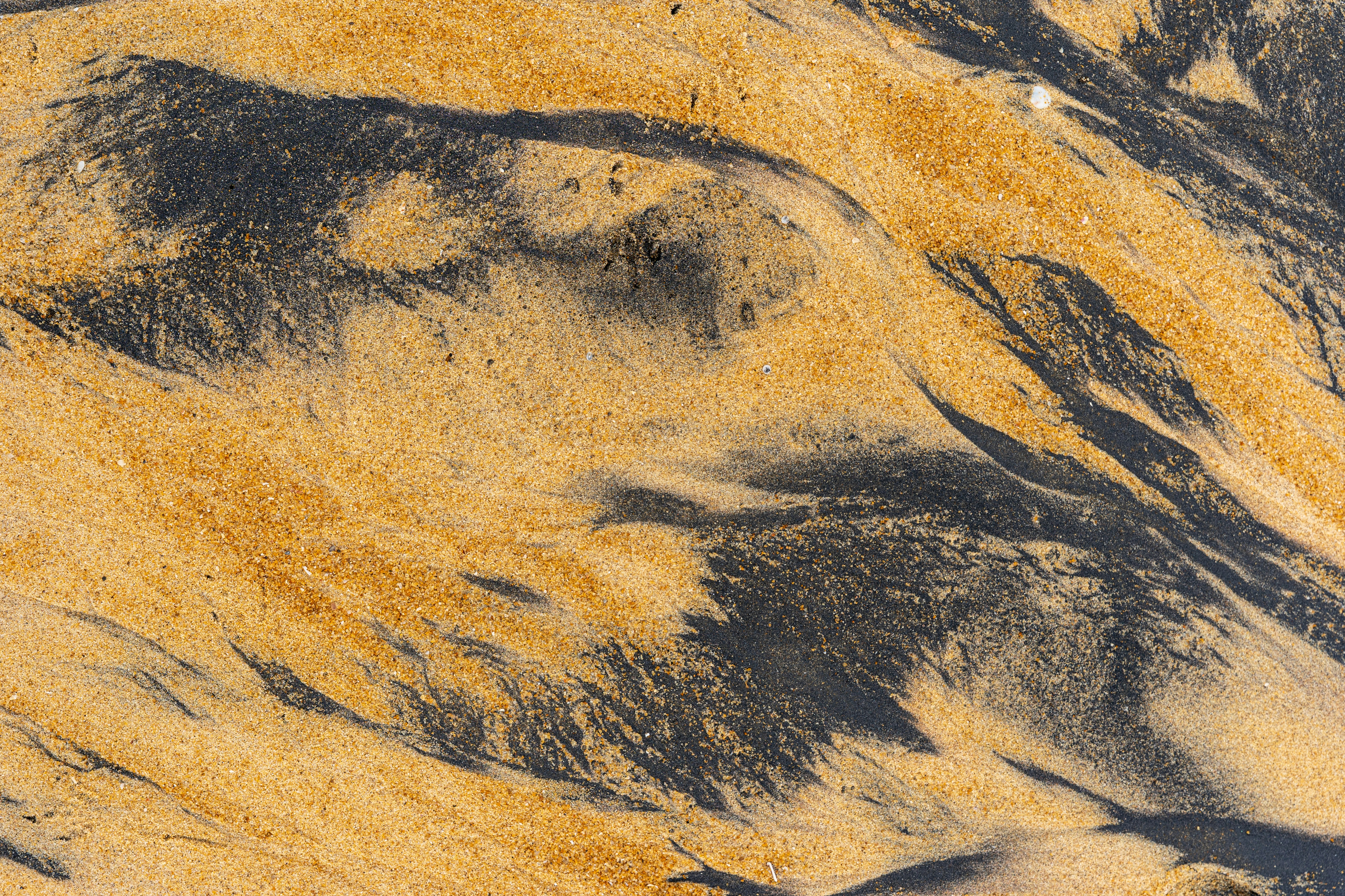 Wind-Carved Sands: Abstract Dunes in Golden Hour Light