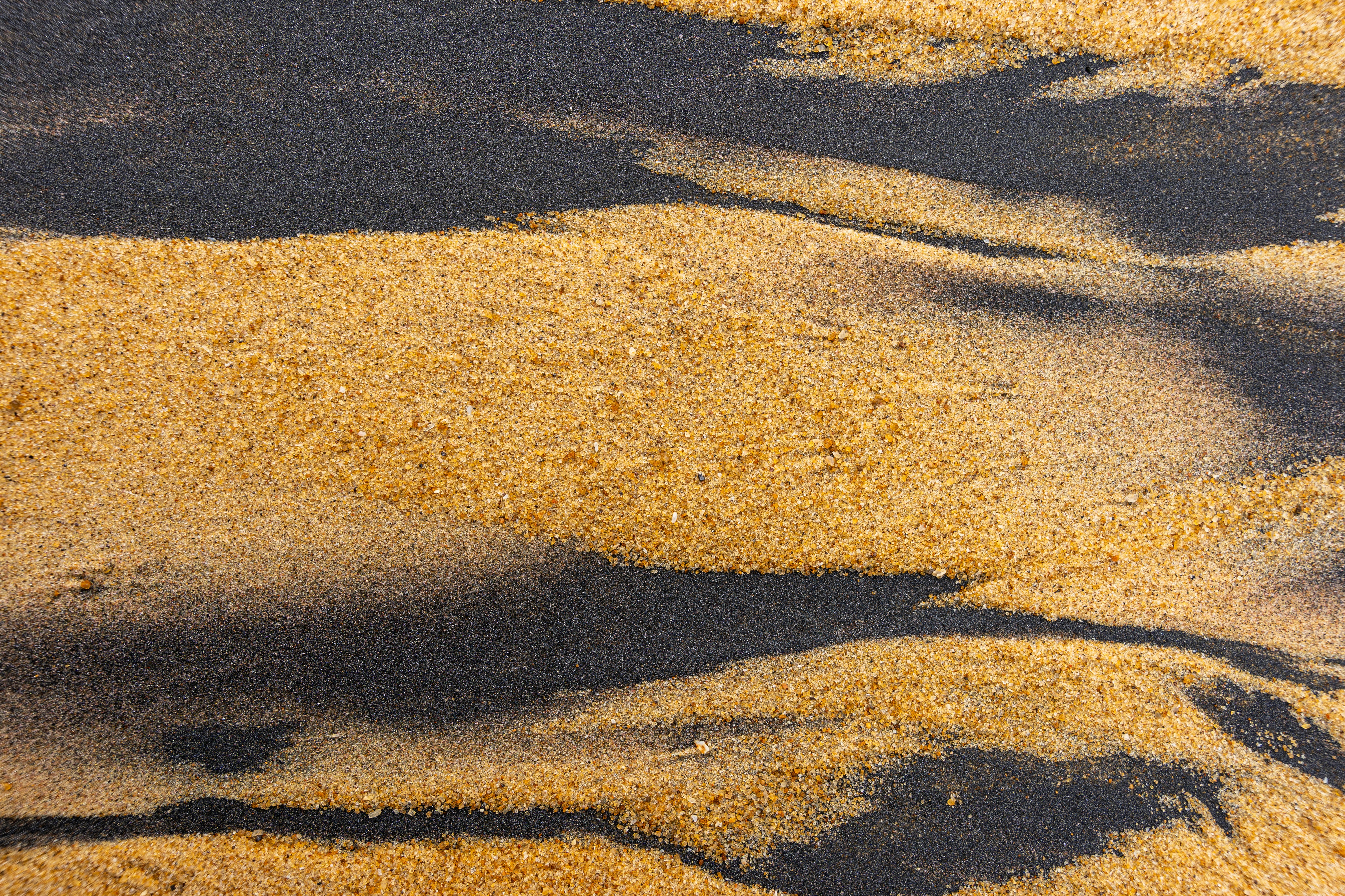 Sand Dunes in Quiet Contrast