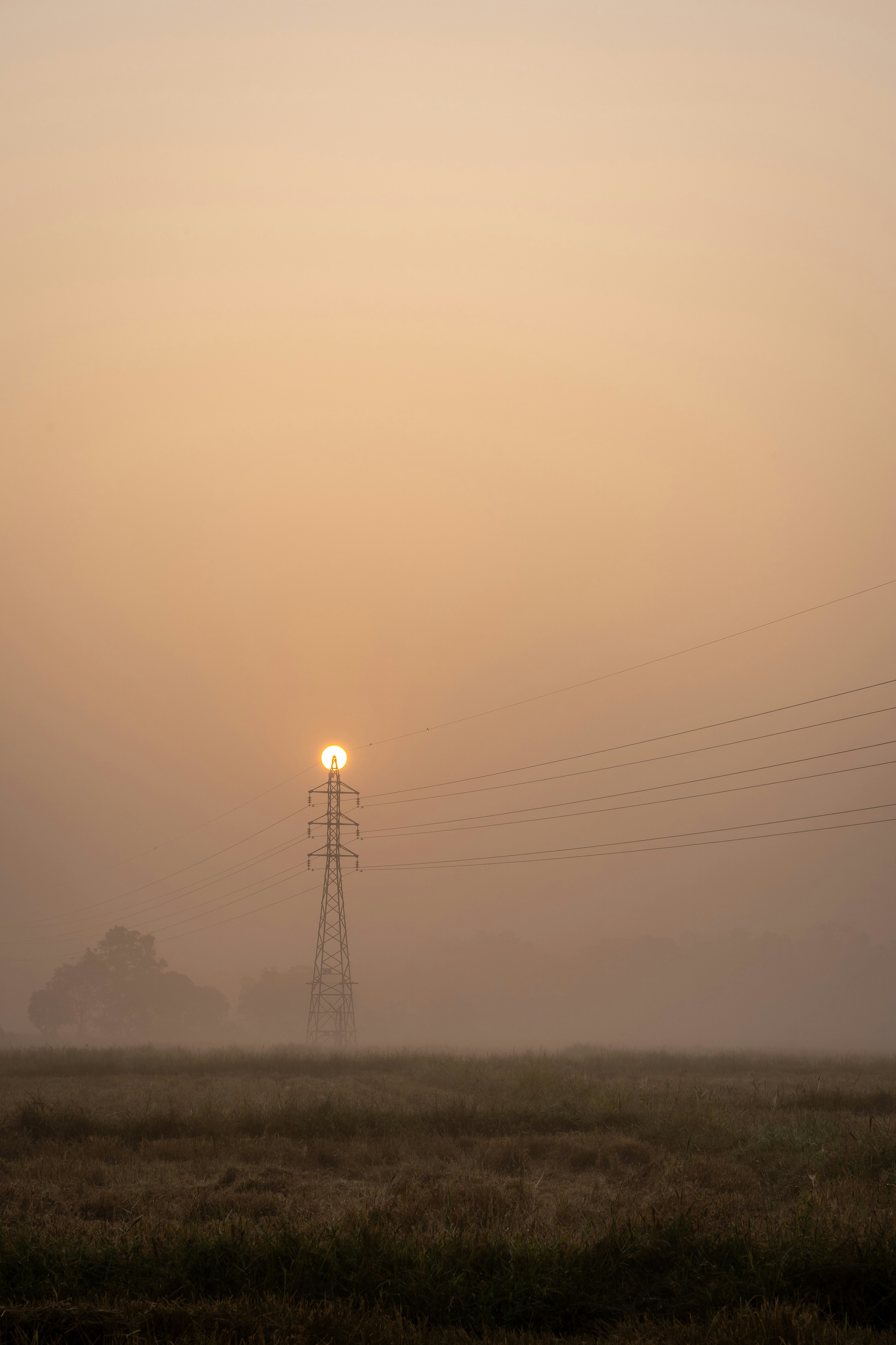 Sunrise on a Misty Field Beneath a Power Silhouette