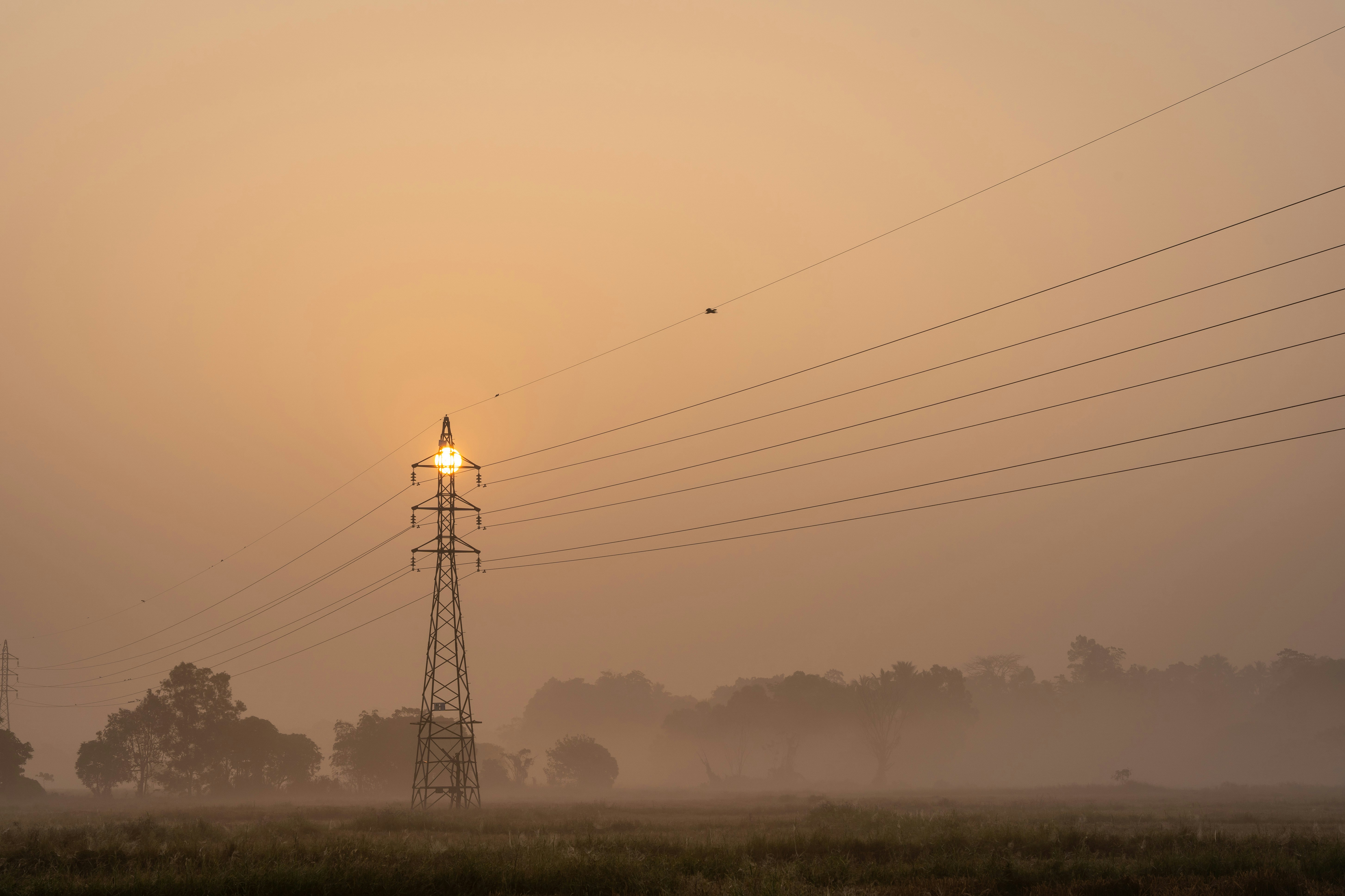 Dawn in the Mist: Power Line Silhouette over Foggy Field
