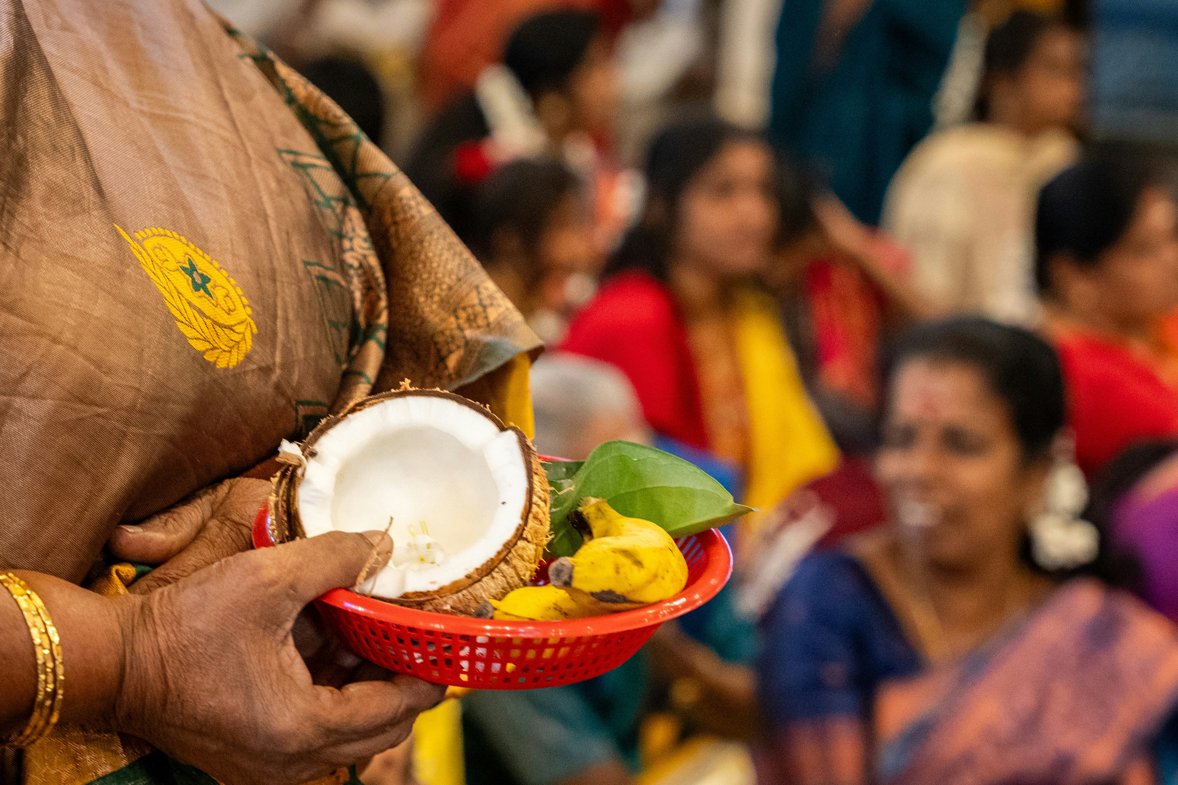 Coconut Blessing: A Festive Moment in a Colorful Crowd