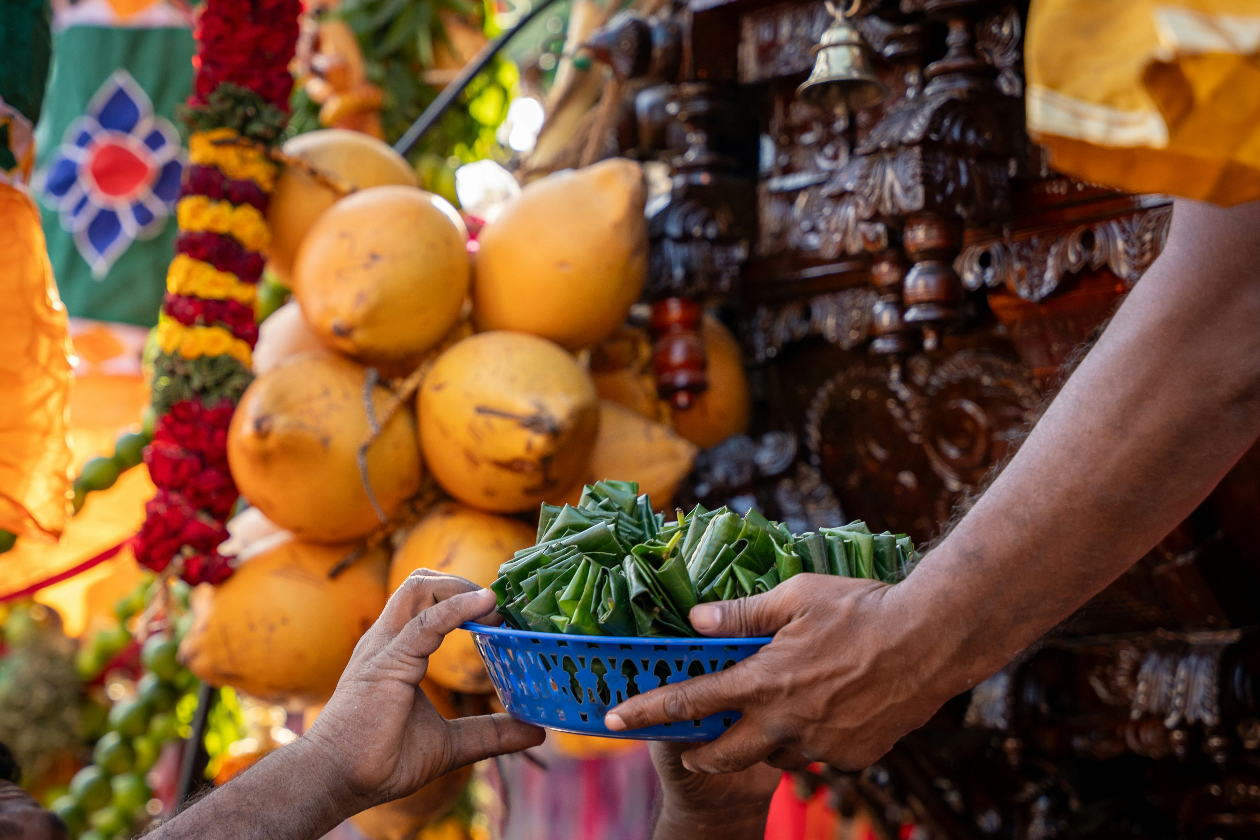 Offering of Fresh Greens in a Colorful Street Market