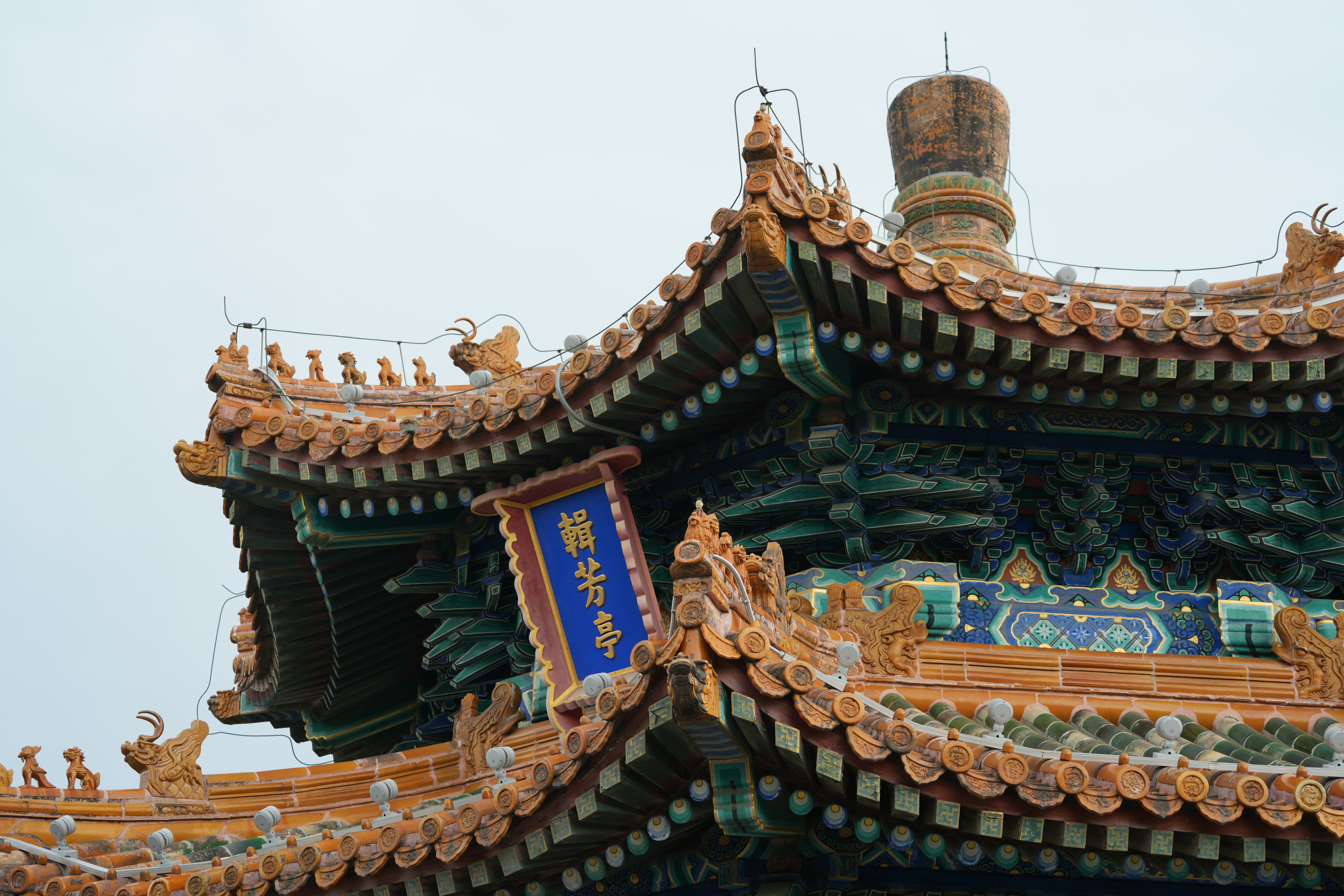 Dragon-Line Roofs: Petals and Tiles of an East Asian Temple