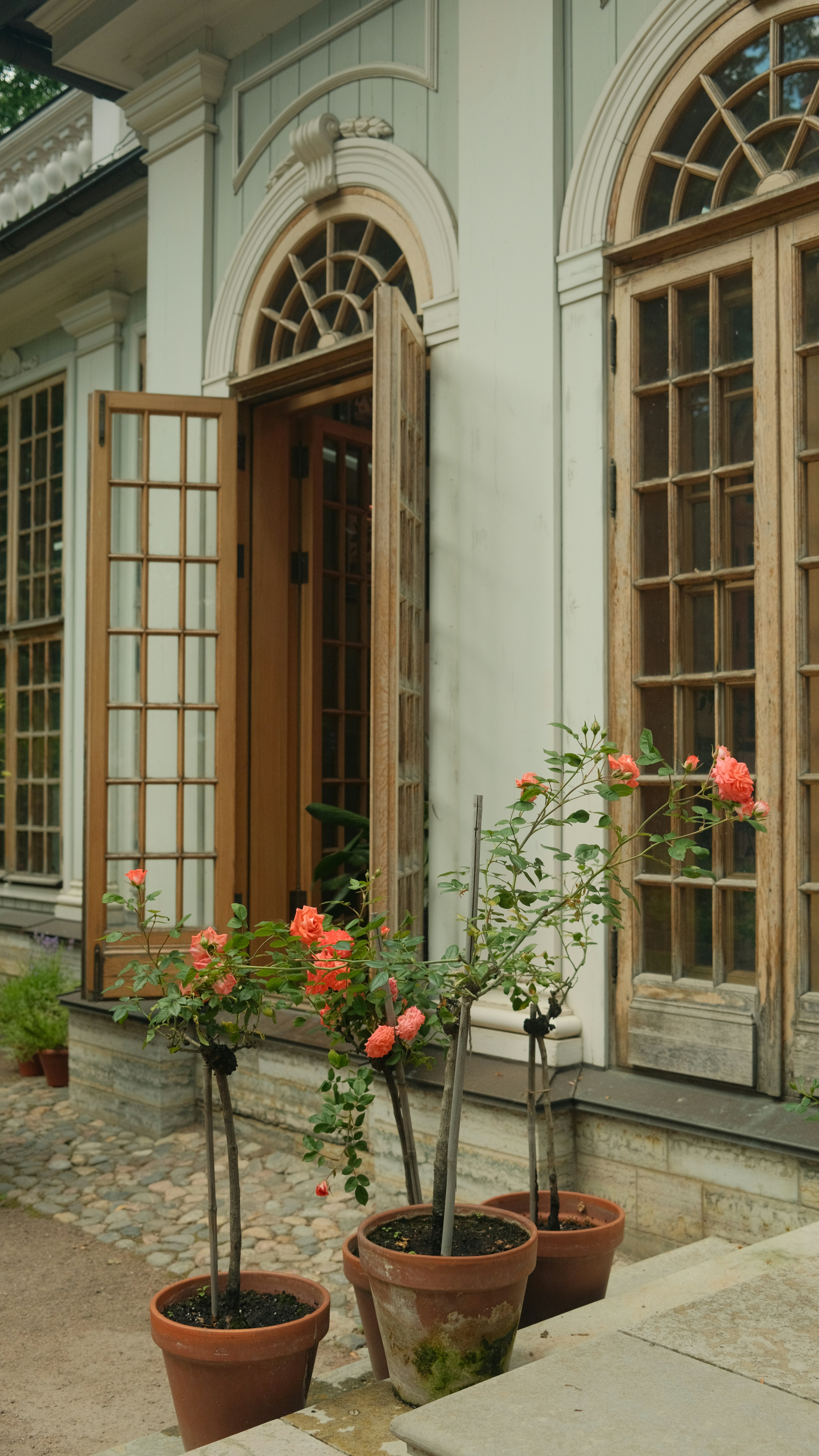 Open Doors and Potted Roses at a Historic Facade