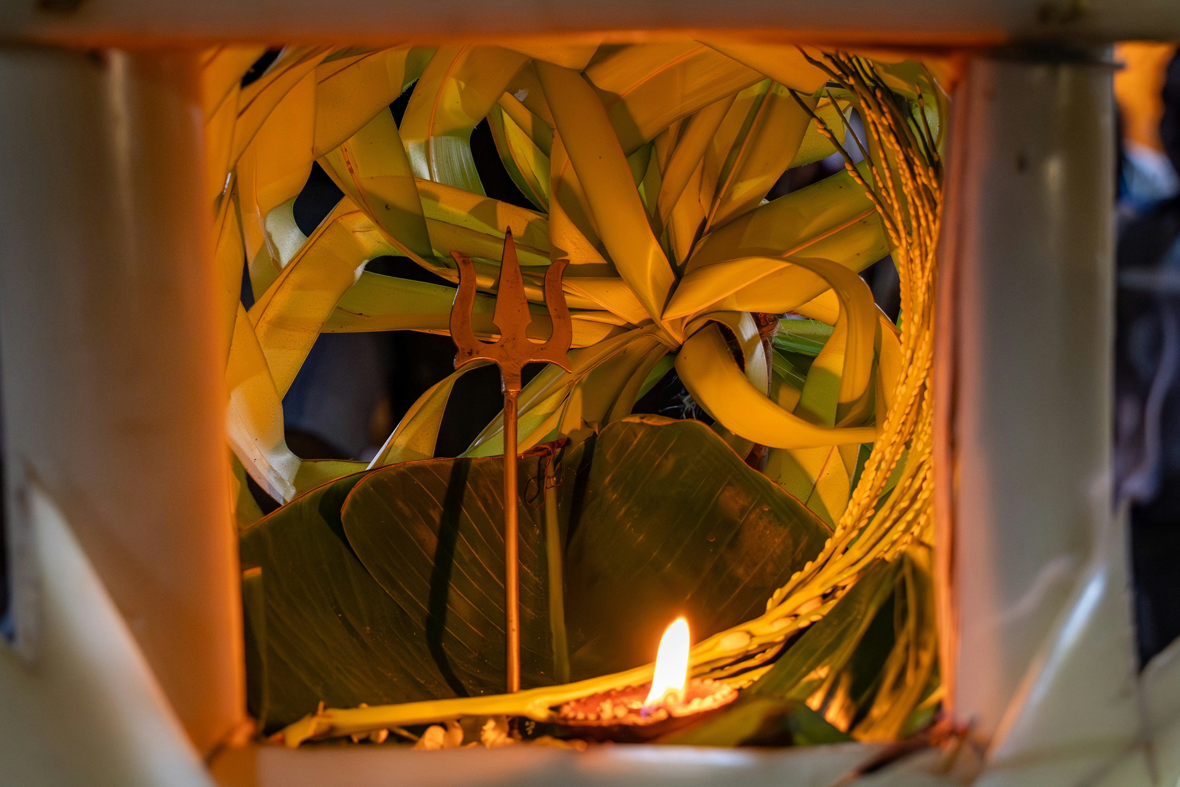Lantern Within the Frame: A Ritual Flame Embraced by Leaves and Wicker