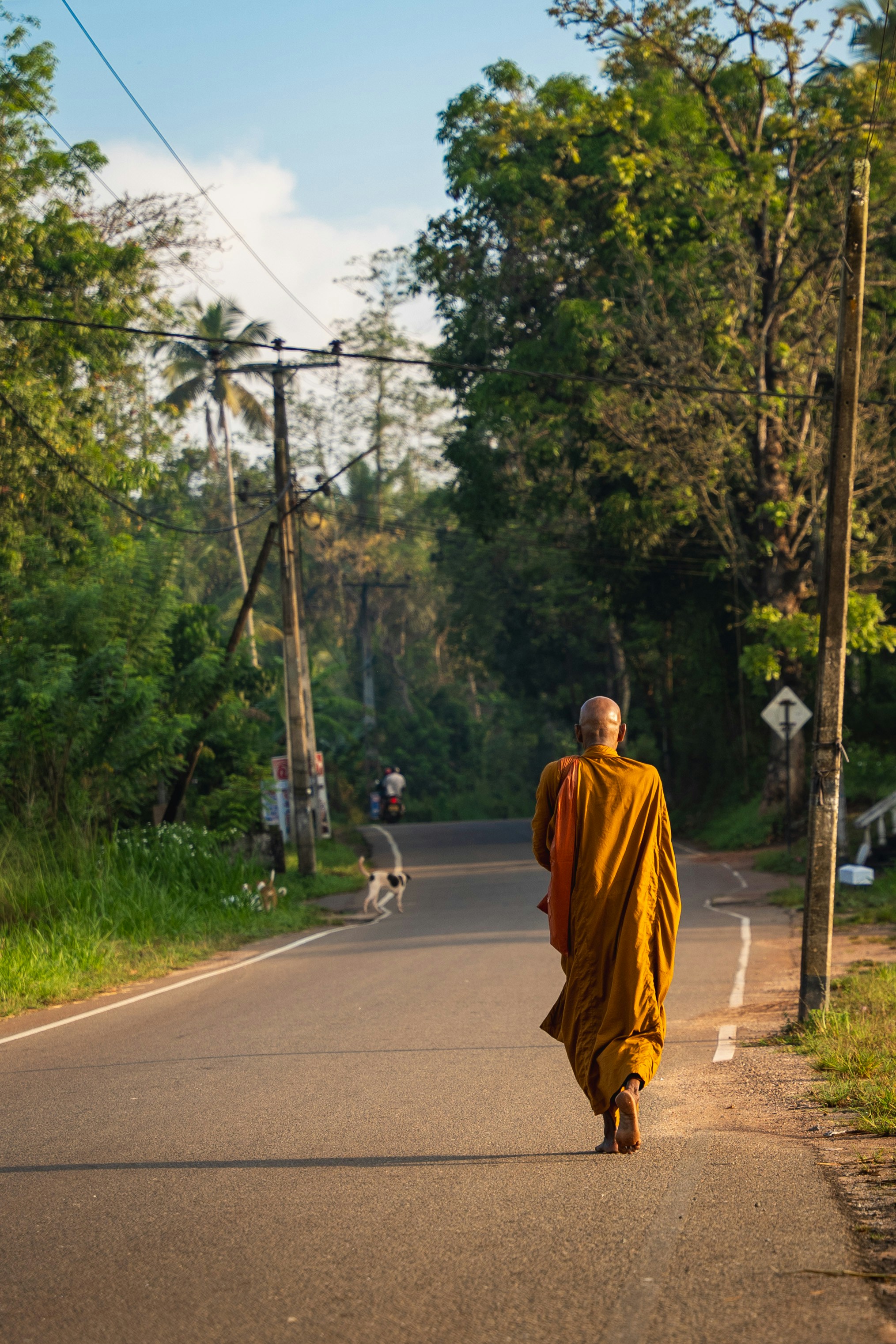 Monk in the Quiet Road