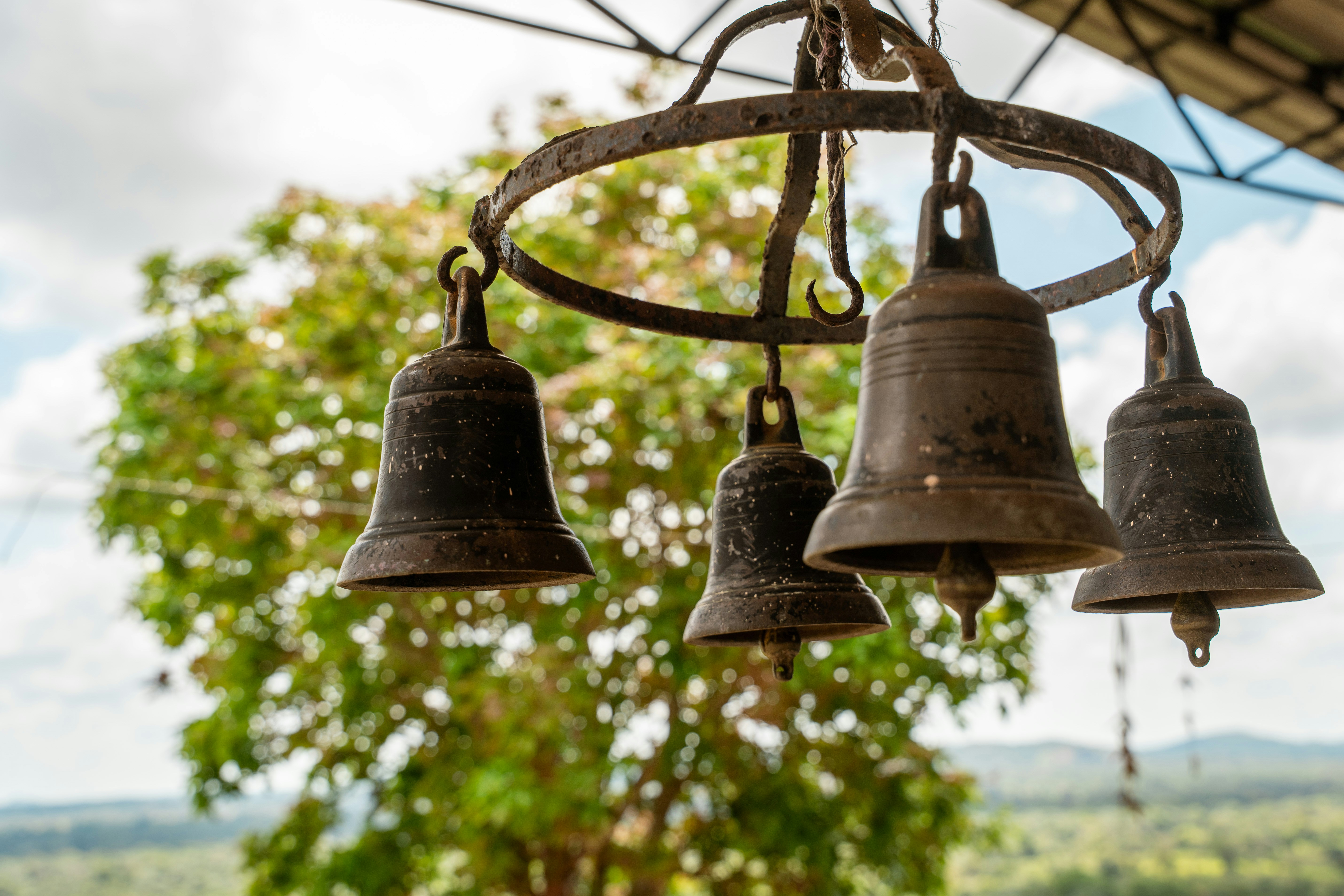Hanging Bells Against a Distant Verdant Horizon