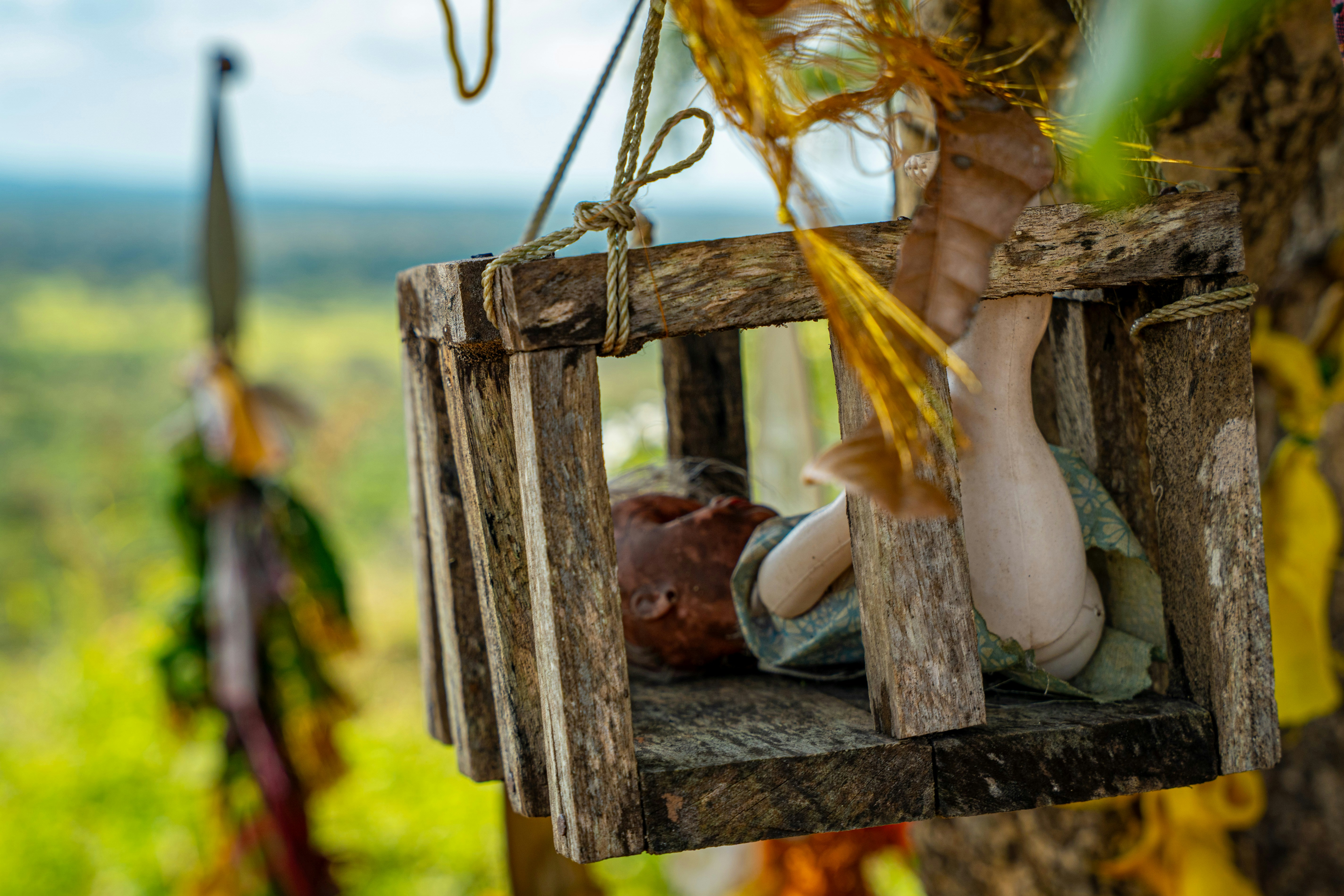 A Weathered Wooden Swing in a Colorful Orchard Moment