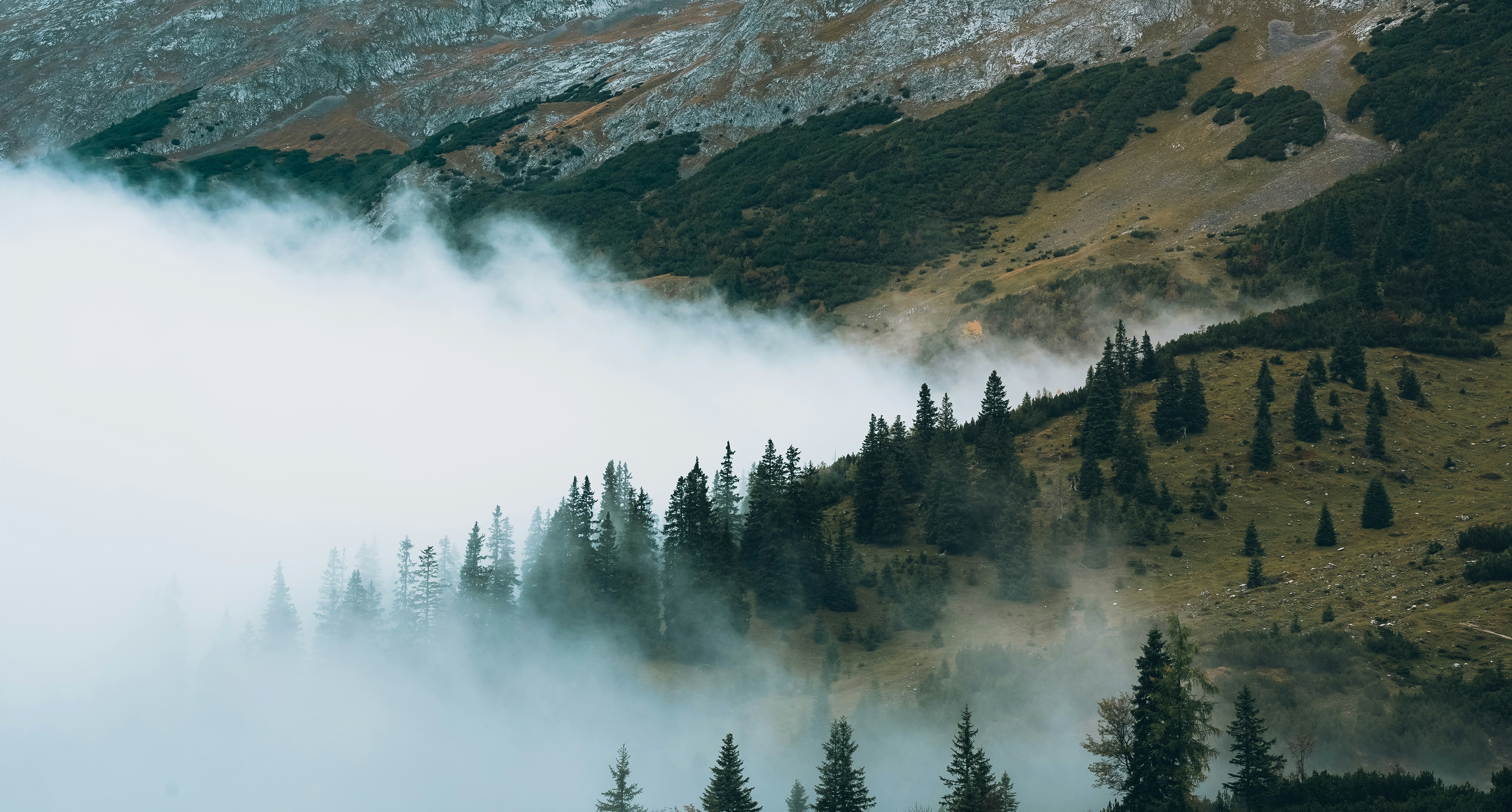 Mist-Laced Ridge: Conifer Shadows in the Valley