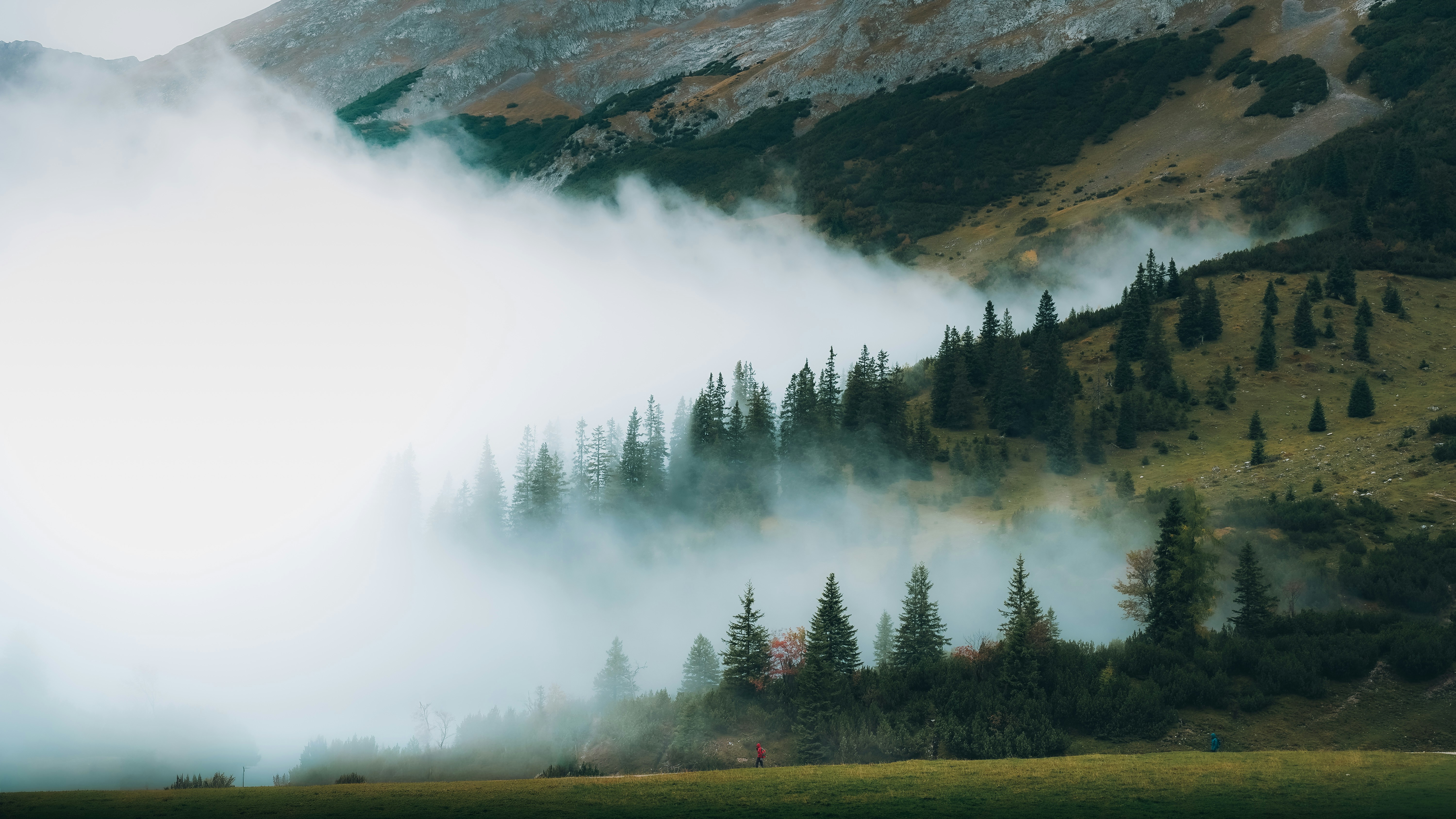 Mist over the Mountain Meadow
