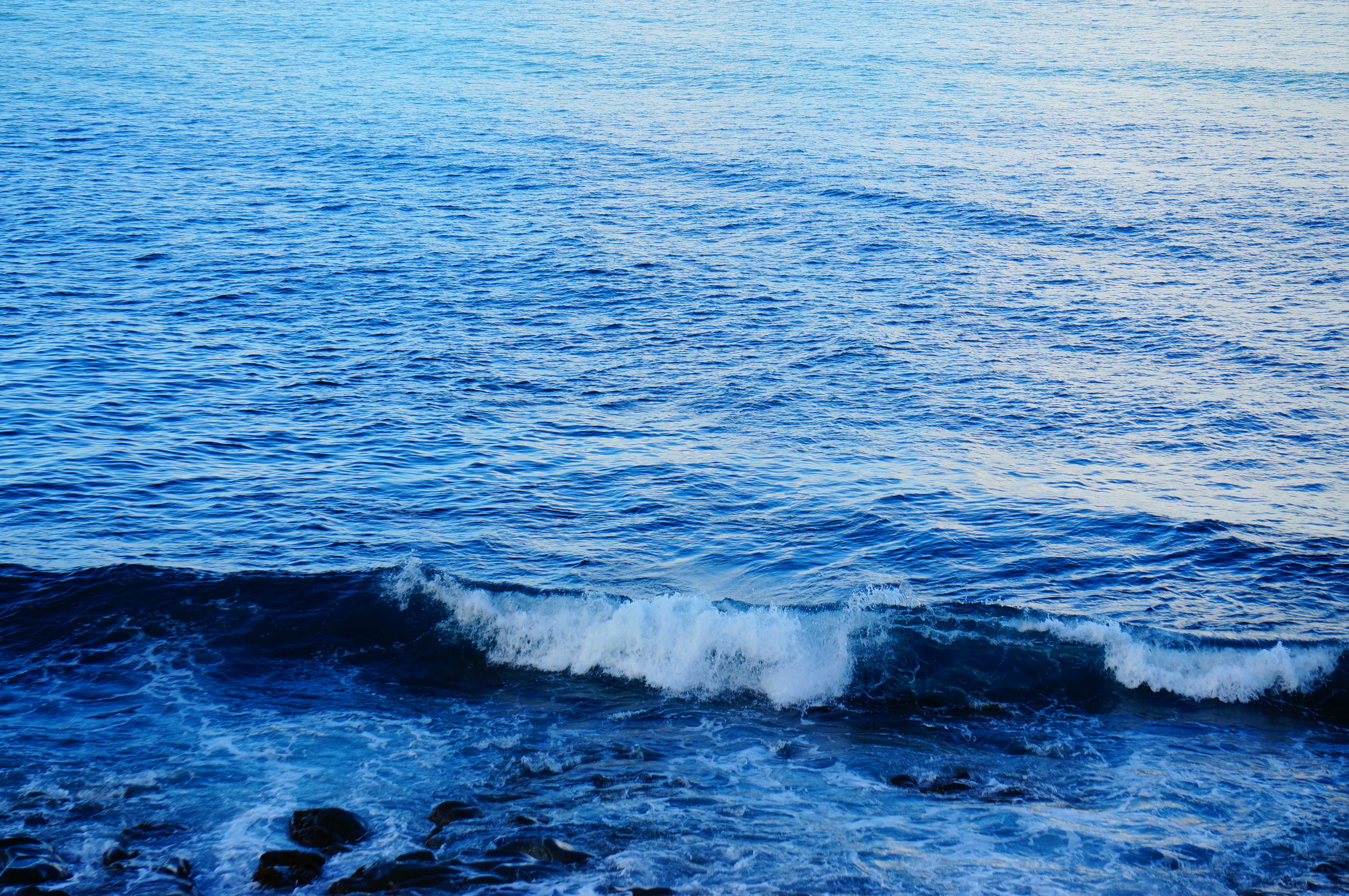 Coastal Break: A Quiet Line of Blue Waves