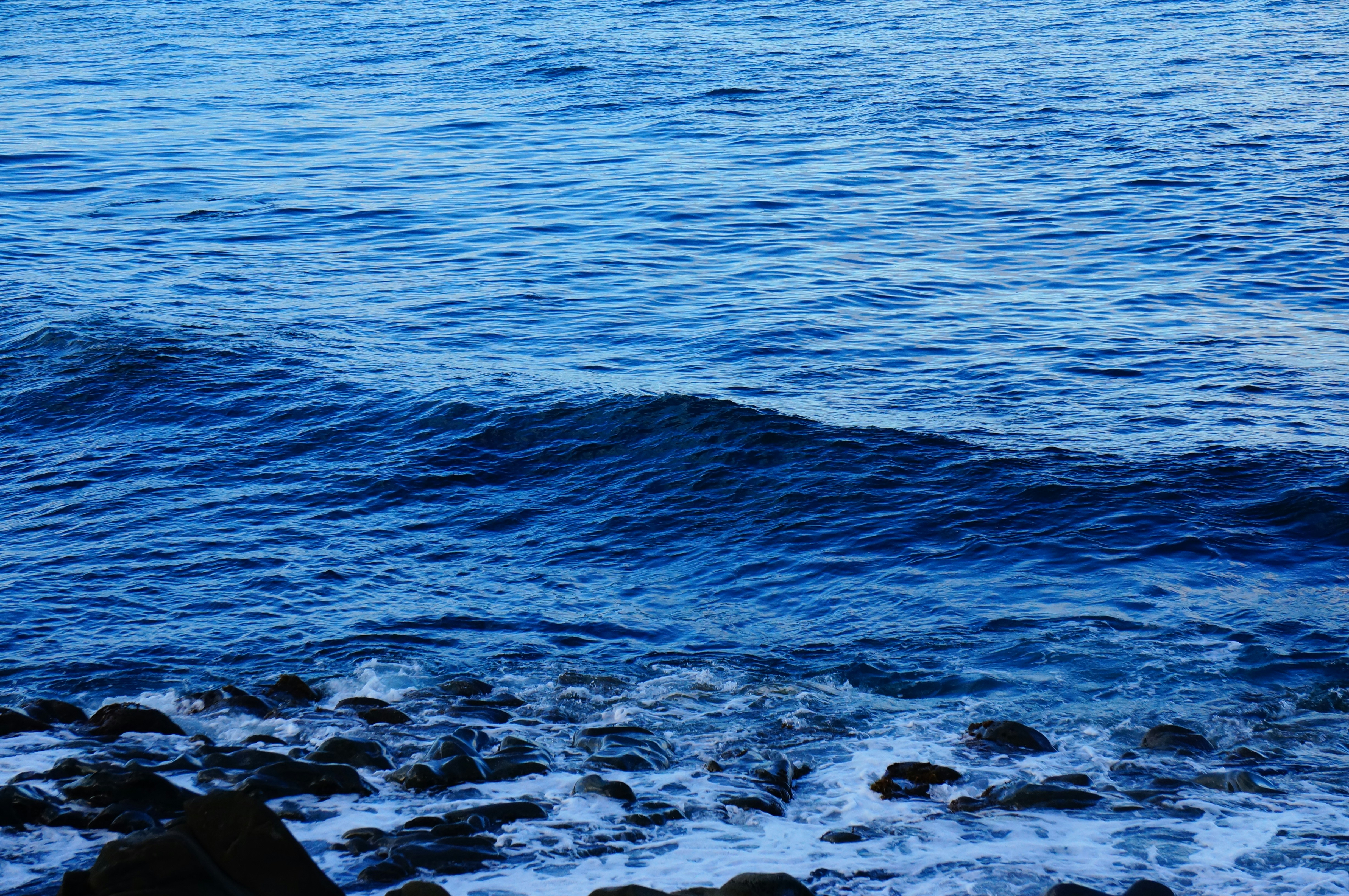 Midnight Blues on the Tidal Edge