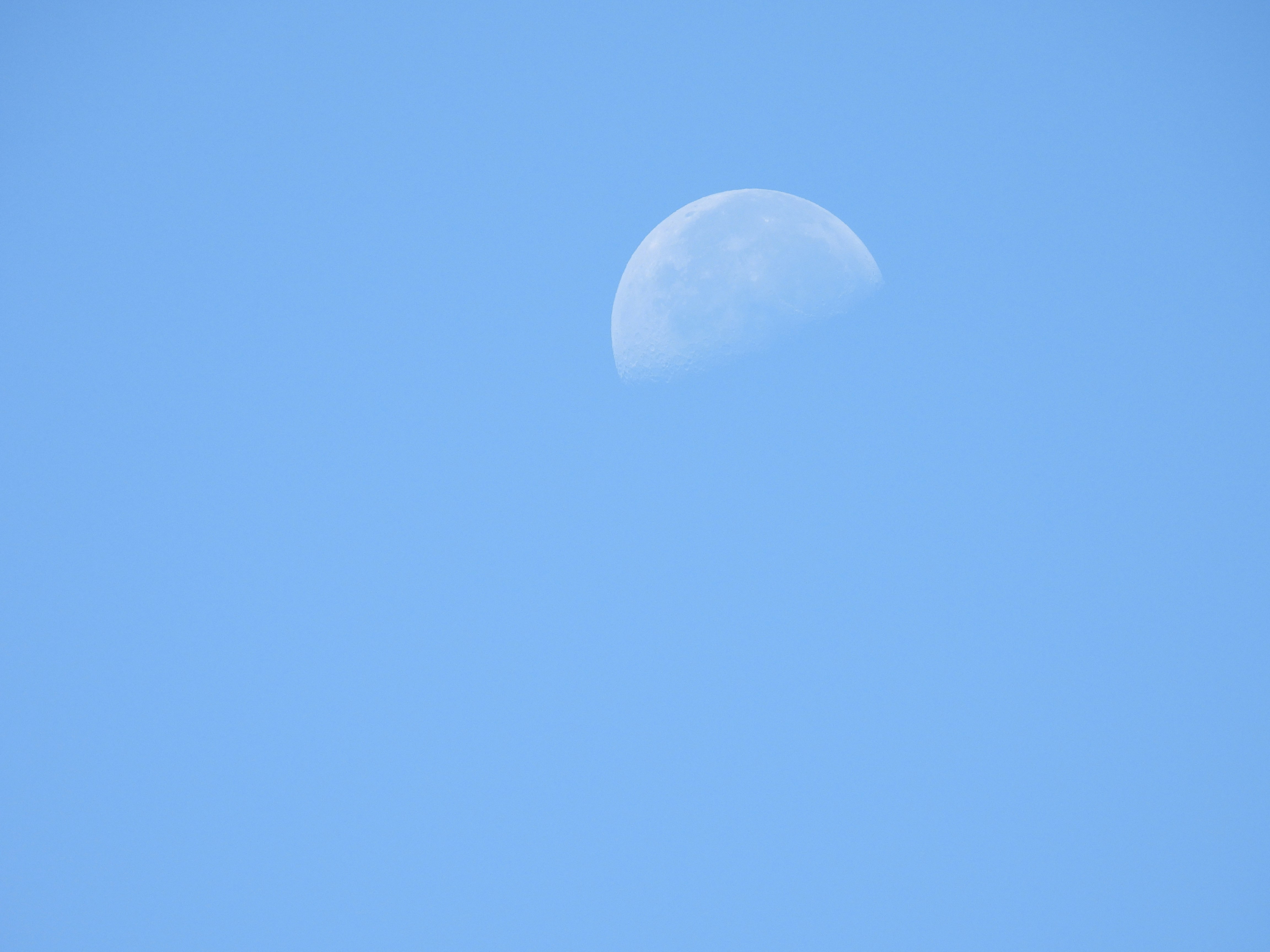 Moonrise in a Clear Noon Sky