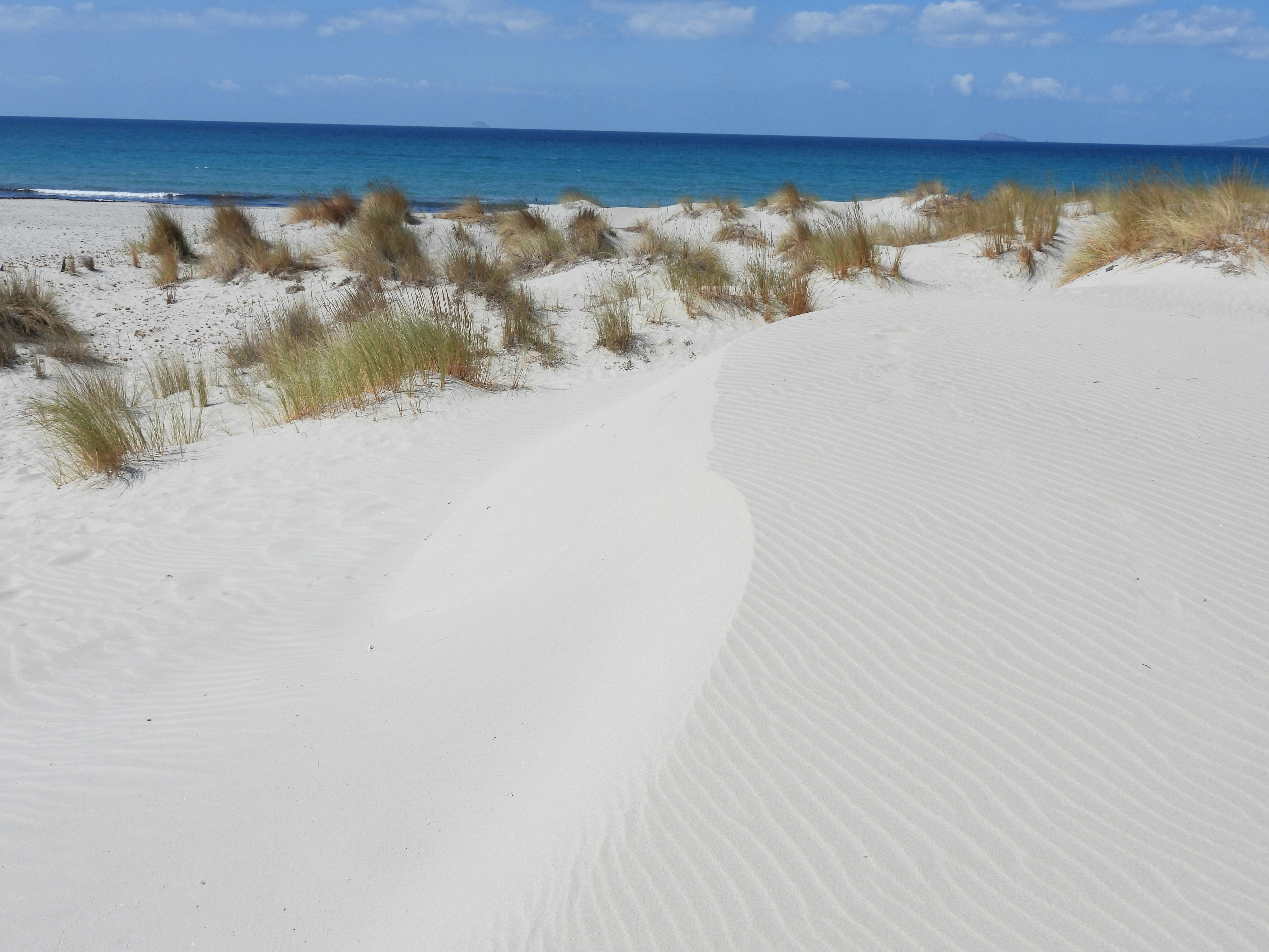 White Dunes Whispering to the Sea
