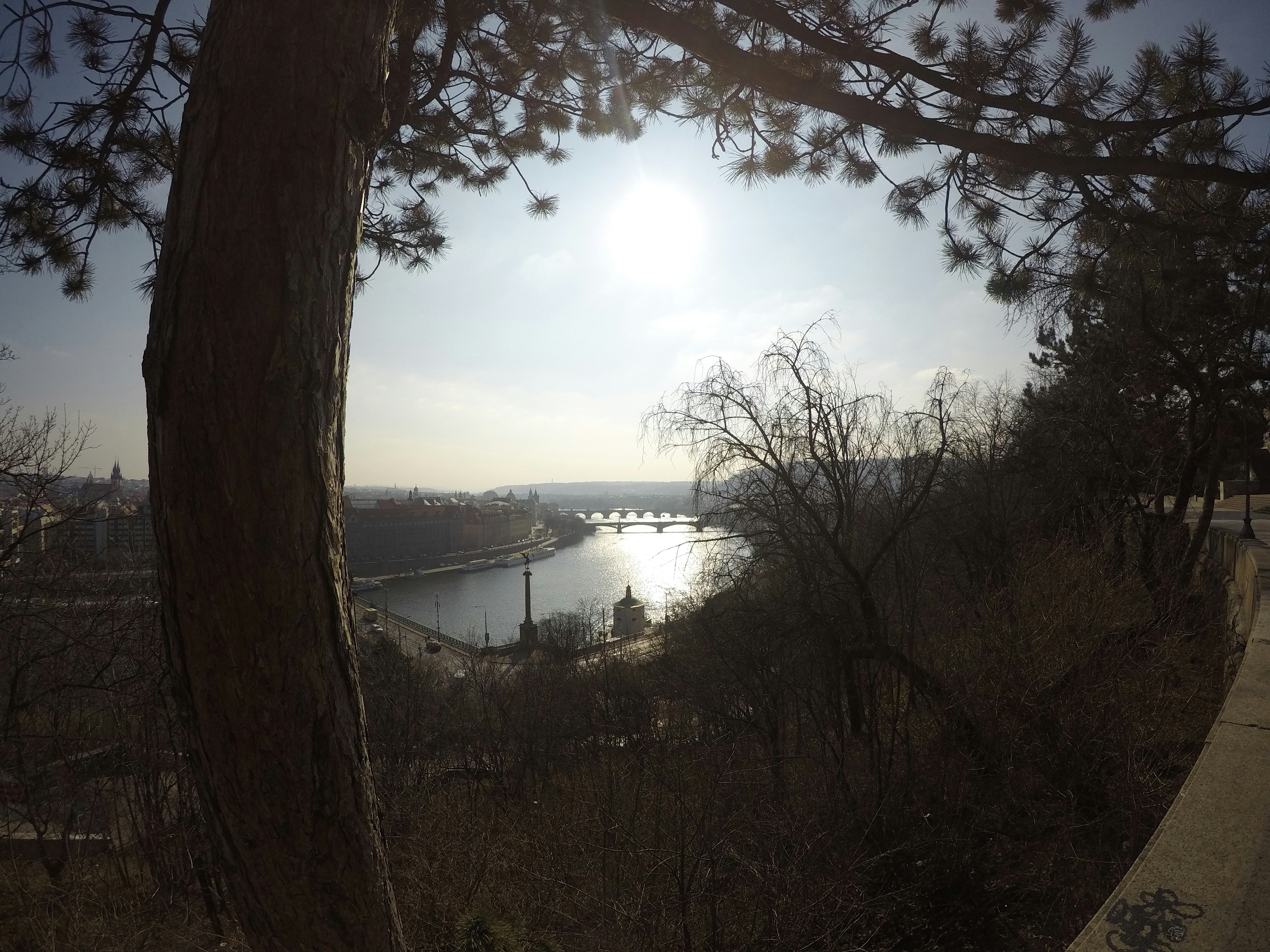 Sunlit river view framed by trees, with a distant bridge and cityscape on the horizon; a landscape shot captured through foreground branches.