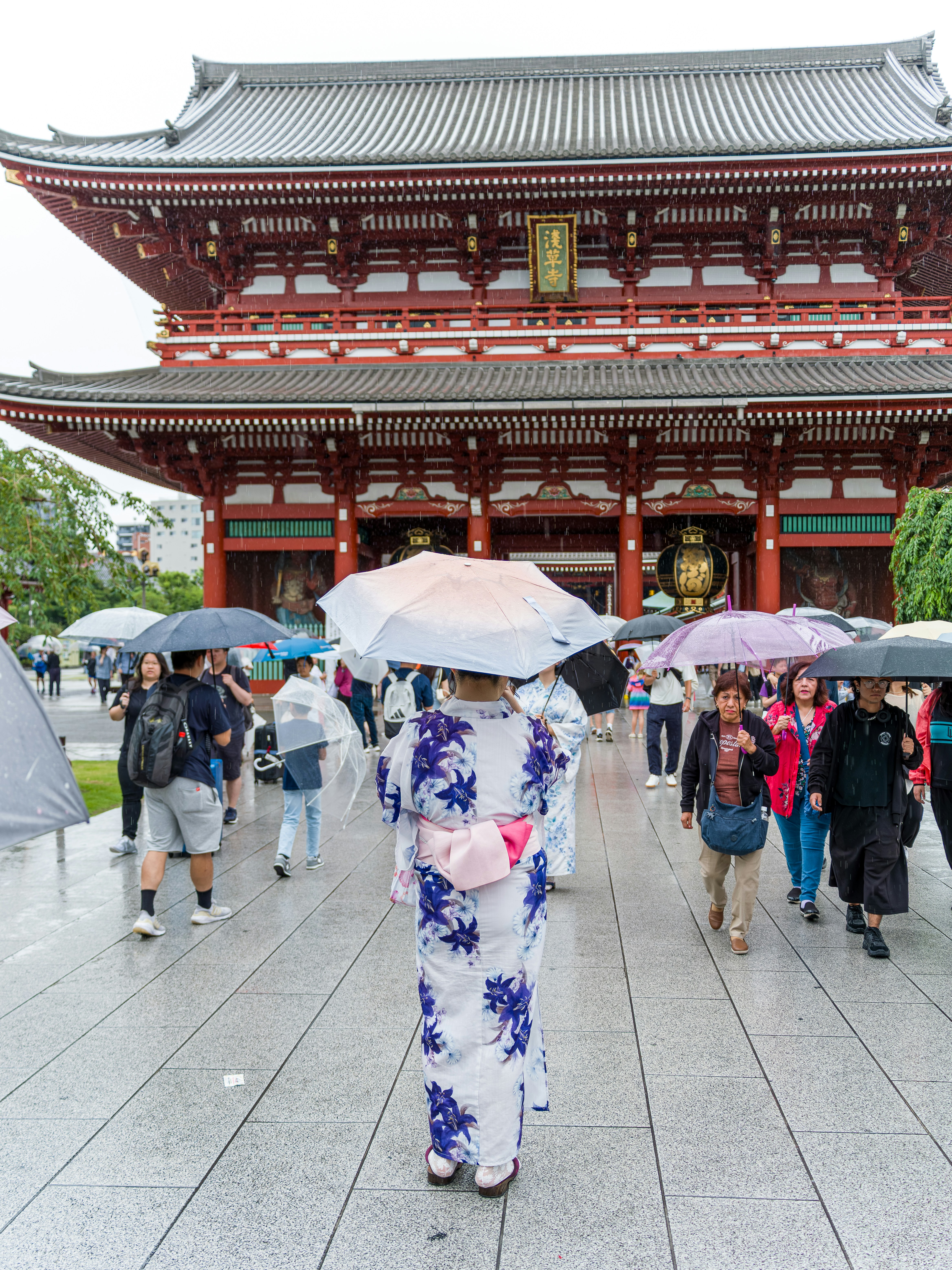 Kimono under the Gate: Amidst Rain at a Historic Entrance