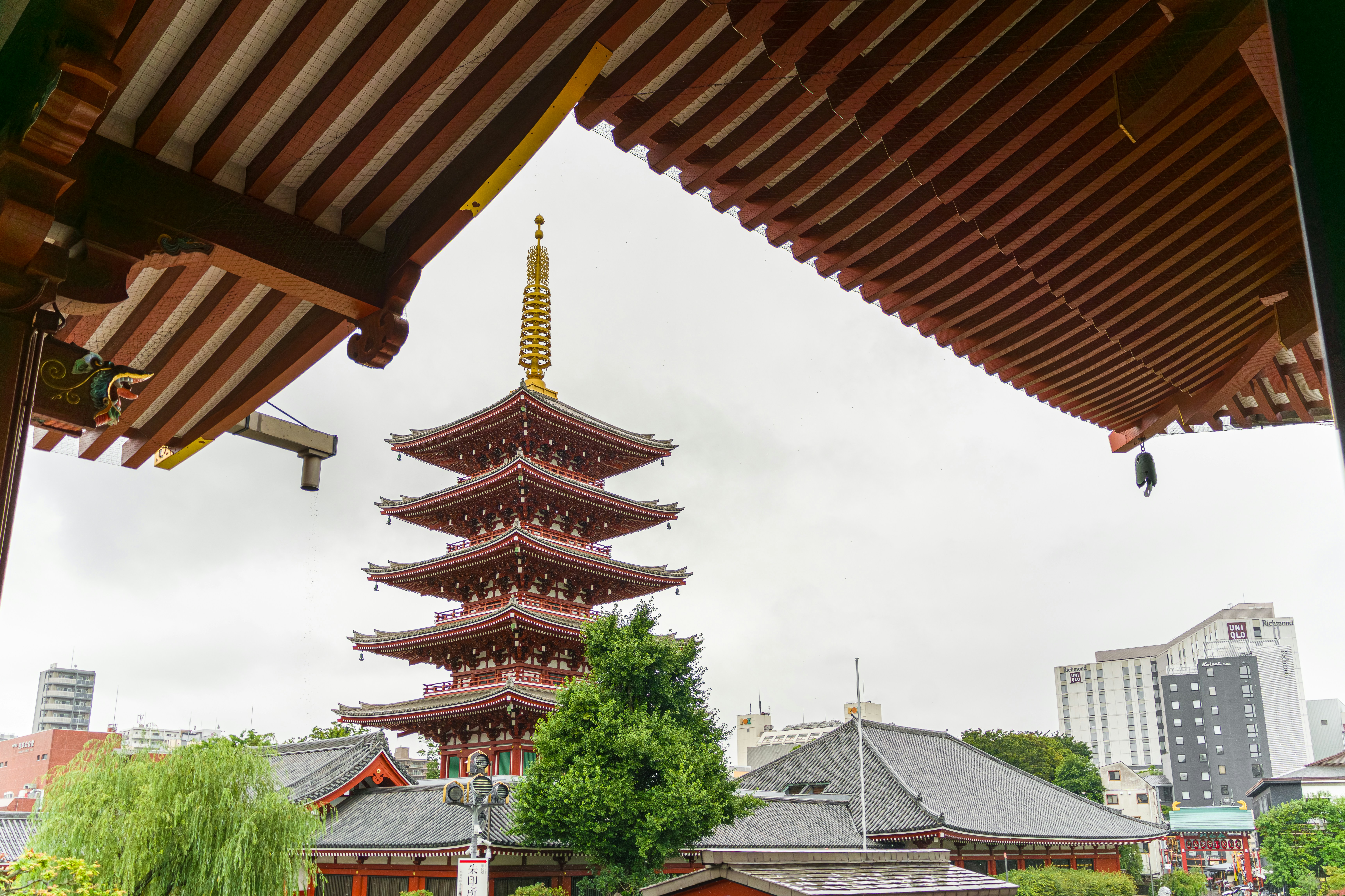 Temple Pagoda Framed by Rustic Eaves