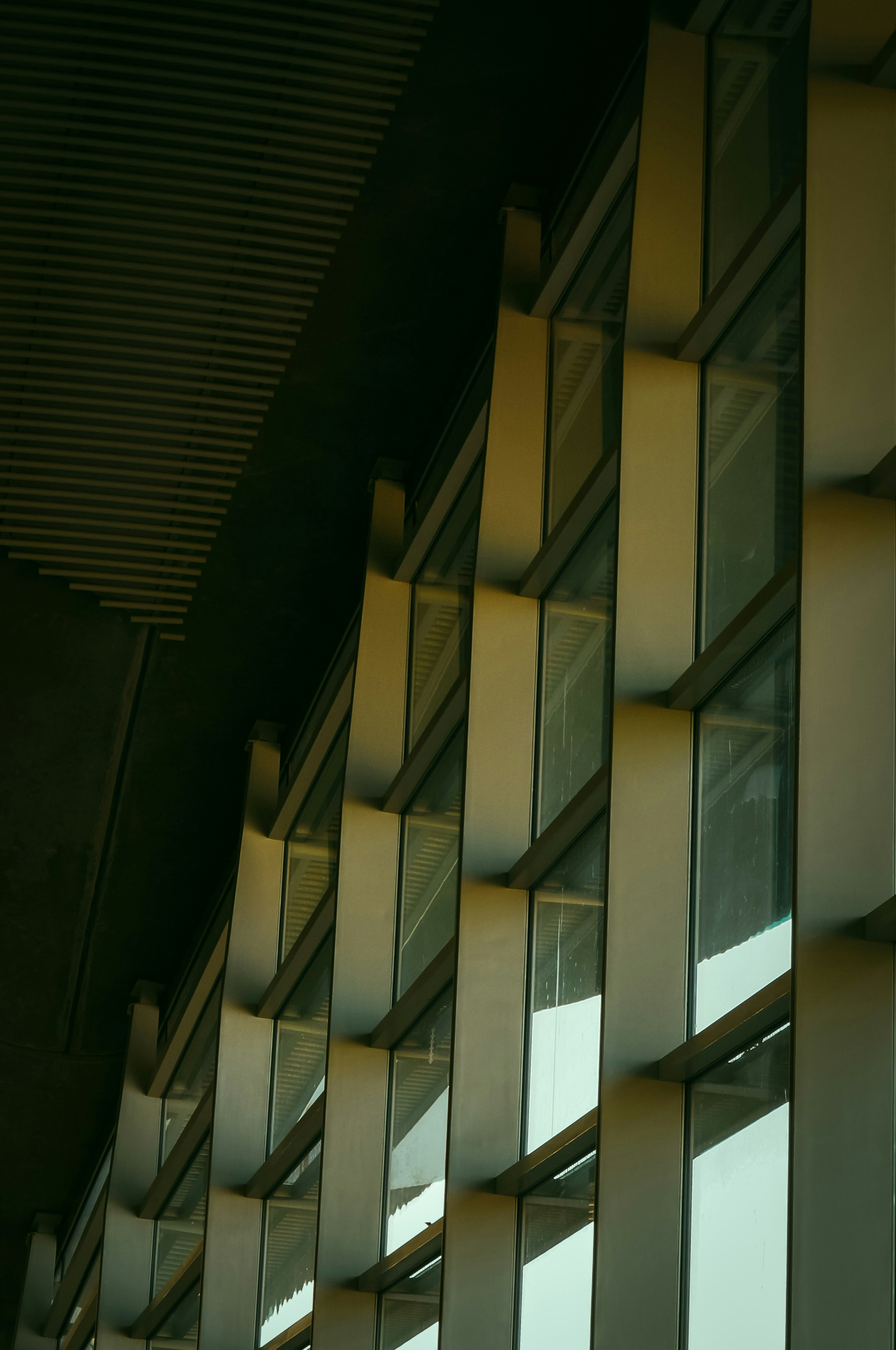 Grid of Golden Gleams on an Urban Facade
