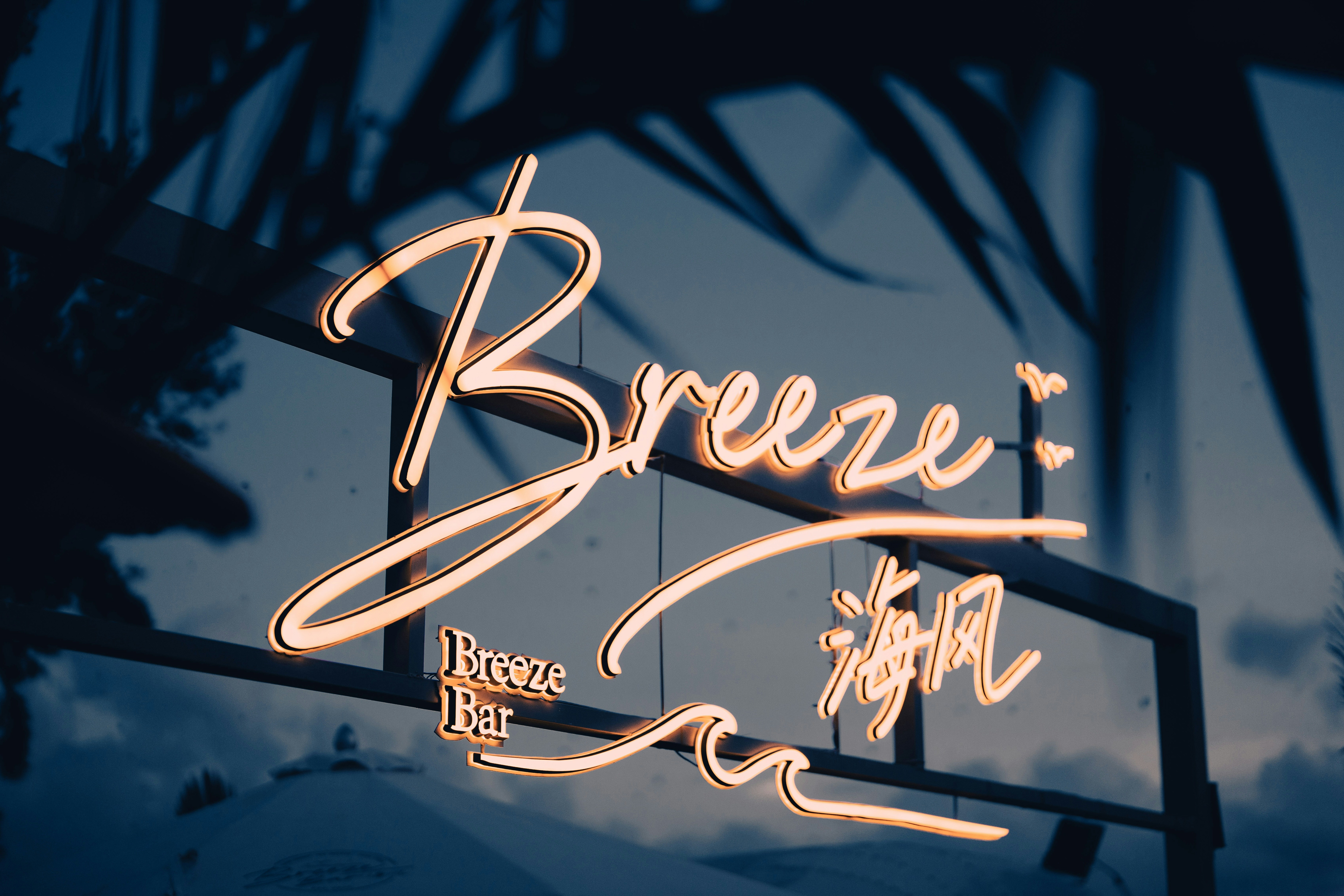 Neon Brew: reflections and script at a dusk-lit bar sign