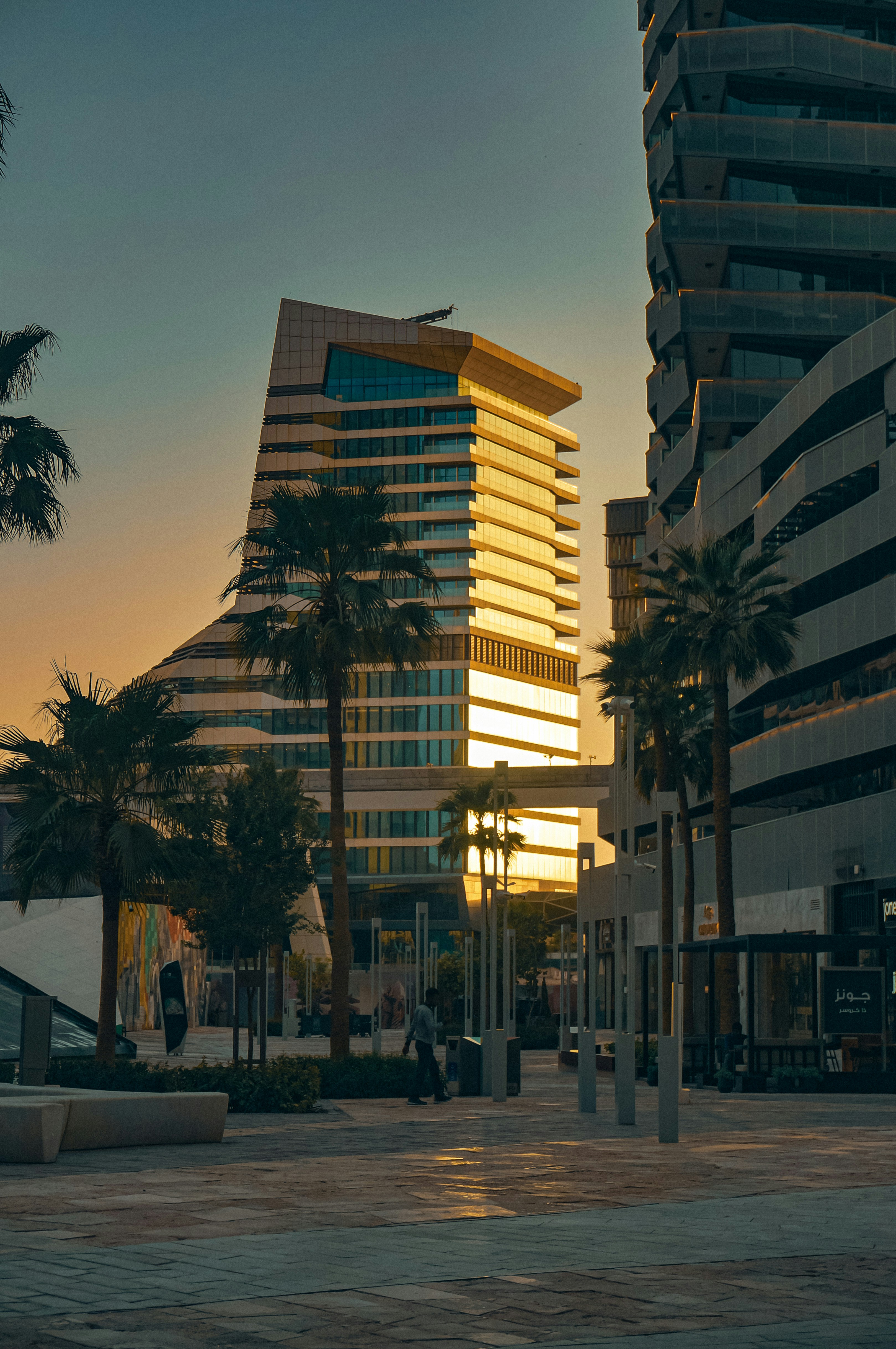Sunlit Ascent: Modern Towers Framed by Palm and Pedestrian Path