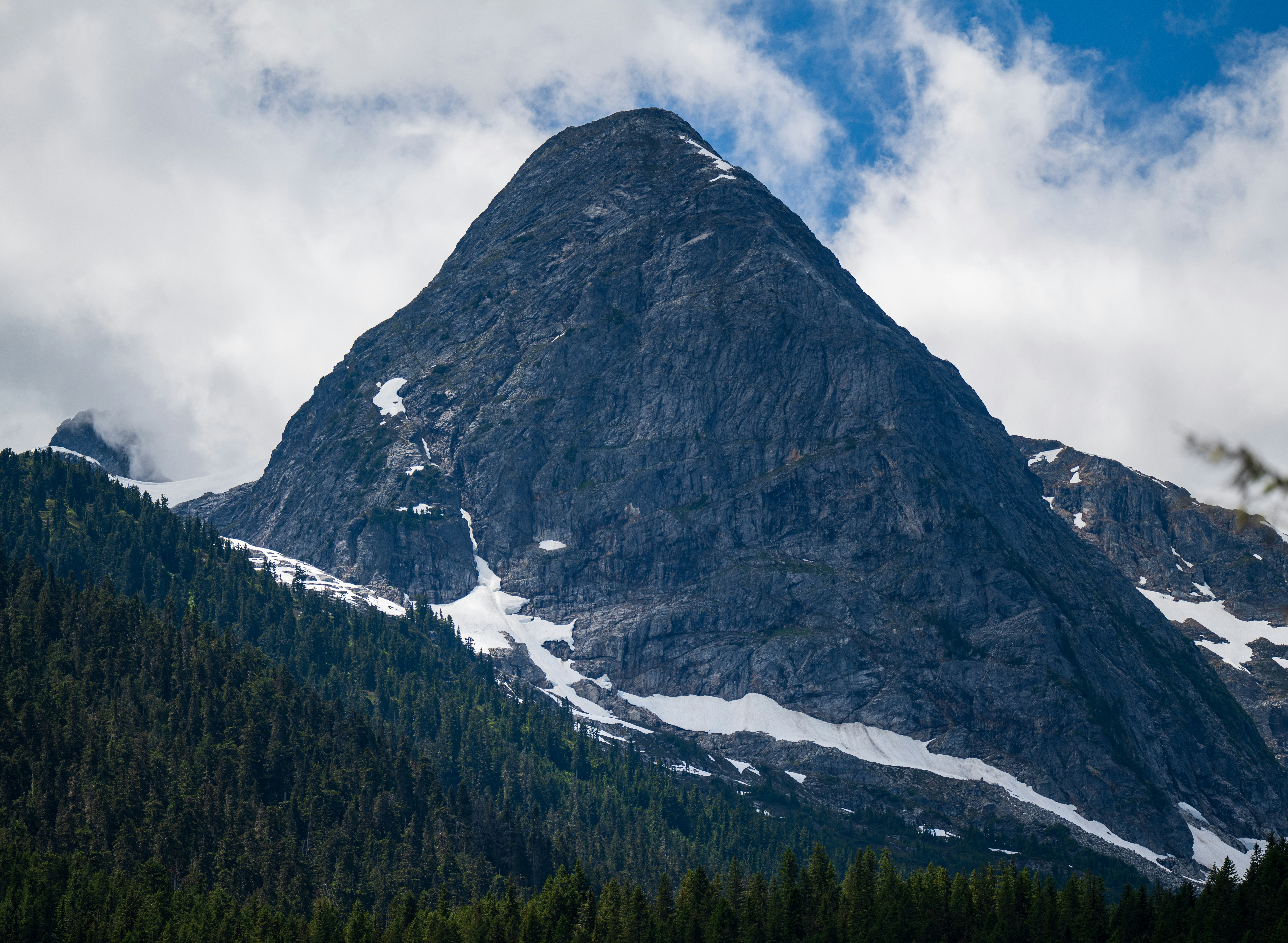 Peak Crown: The Lone Mountain Rising Above Forest and Snow