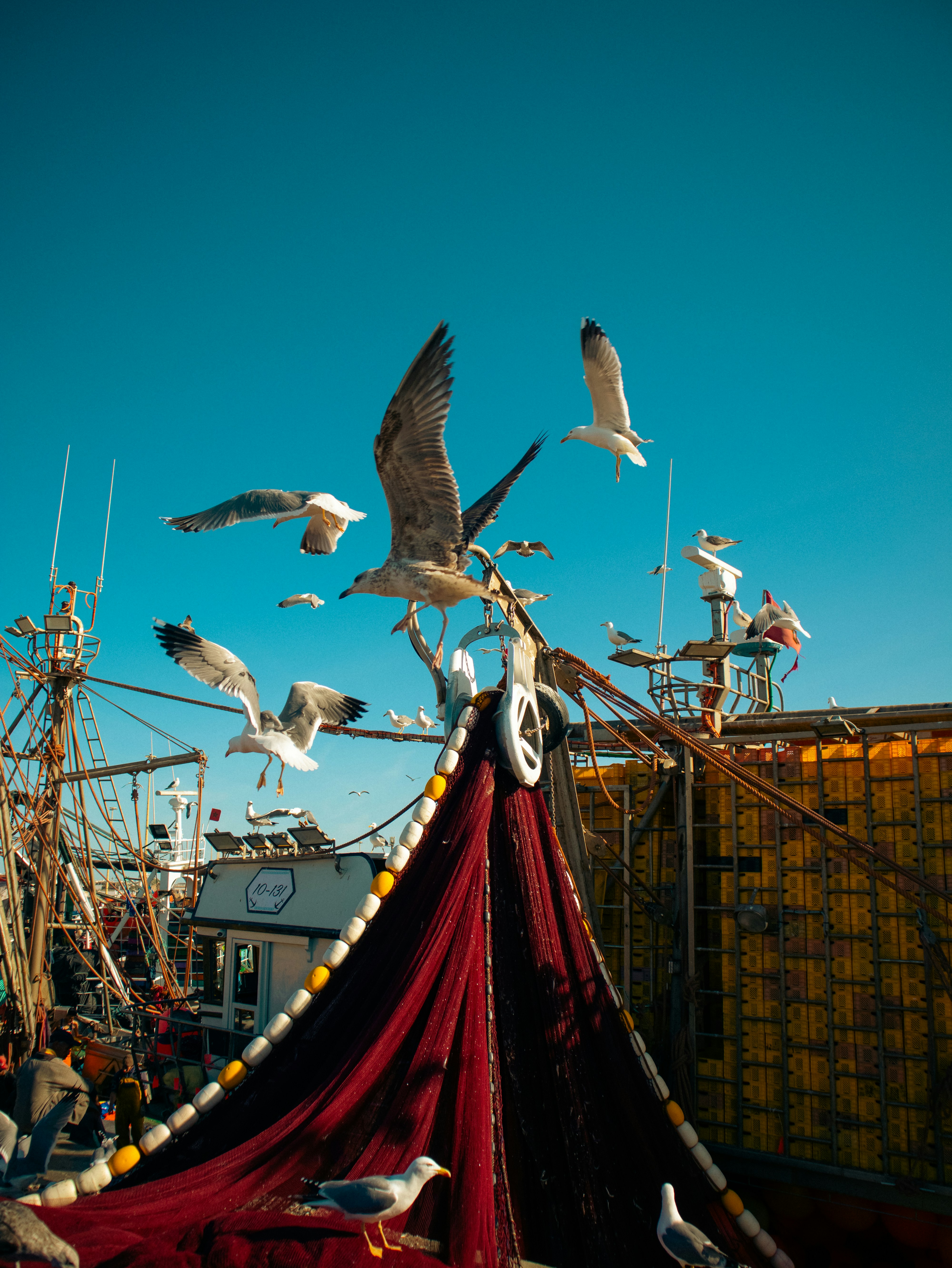 Seabirds over a Coastal Rig: A Seaside Carnival