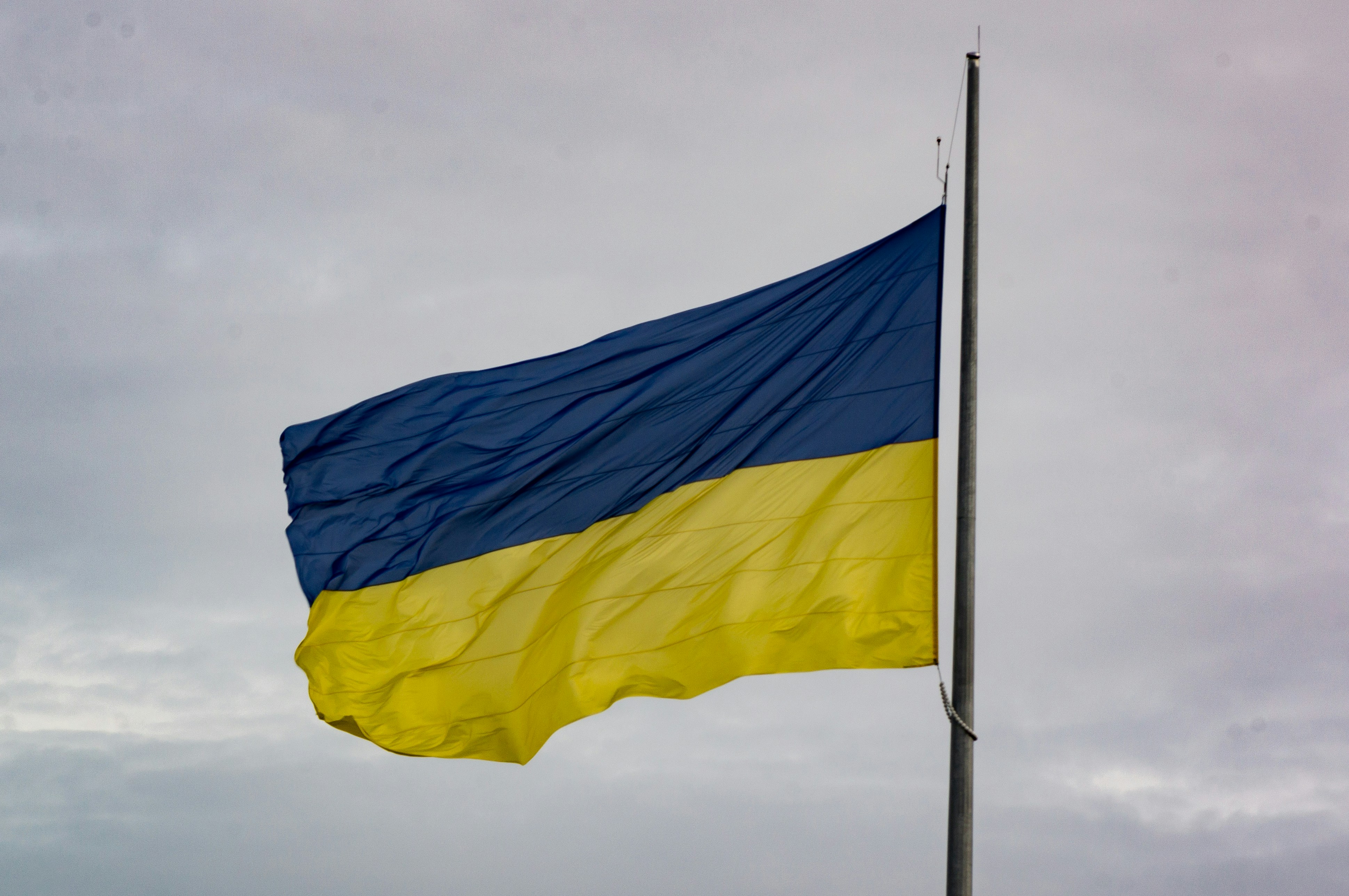 Blue-and-yellow flag waving on a tall pole against a muted sky, capturing motion and color contrast.