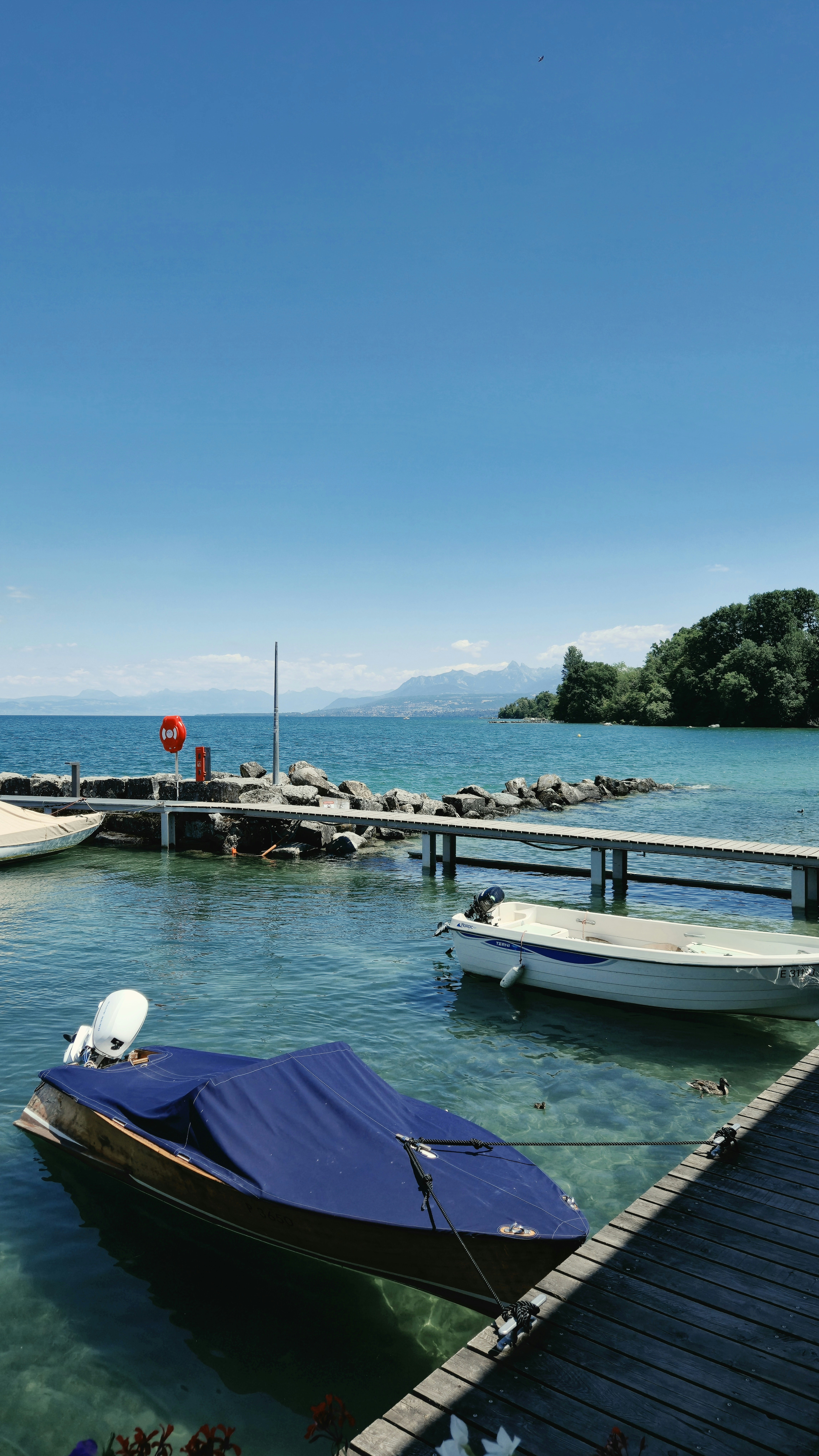 Sunlit Marina: Boats, Jetty, and Calm Aegean-inspired Waters