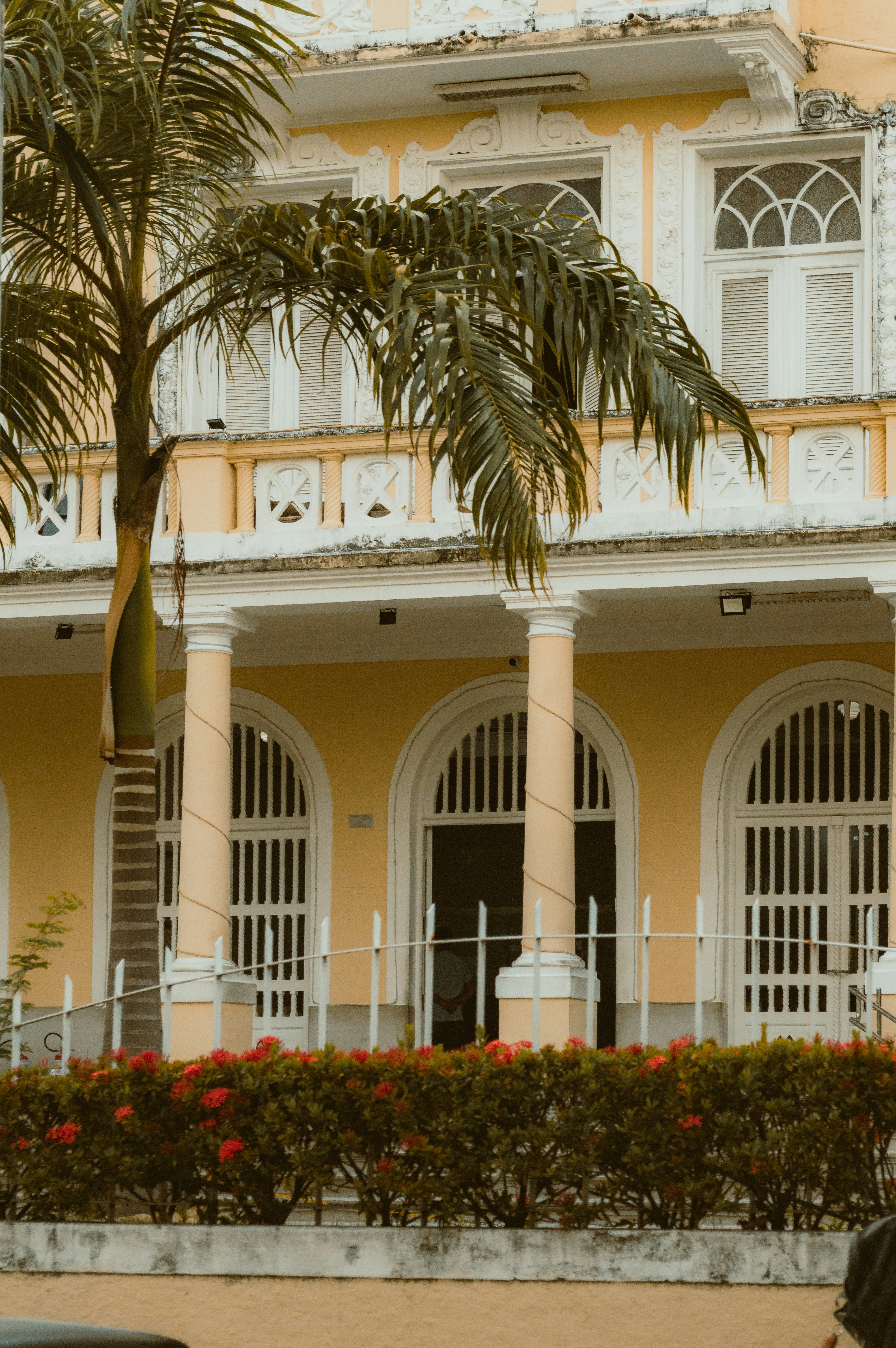 Sunlit Veranda of a Colonial Mint-yellow House