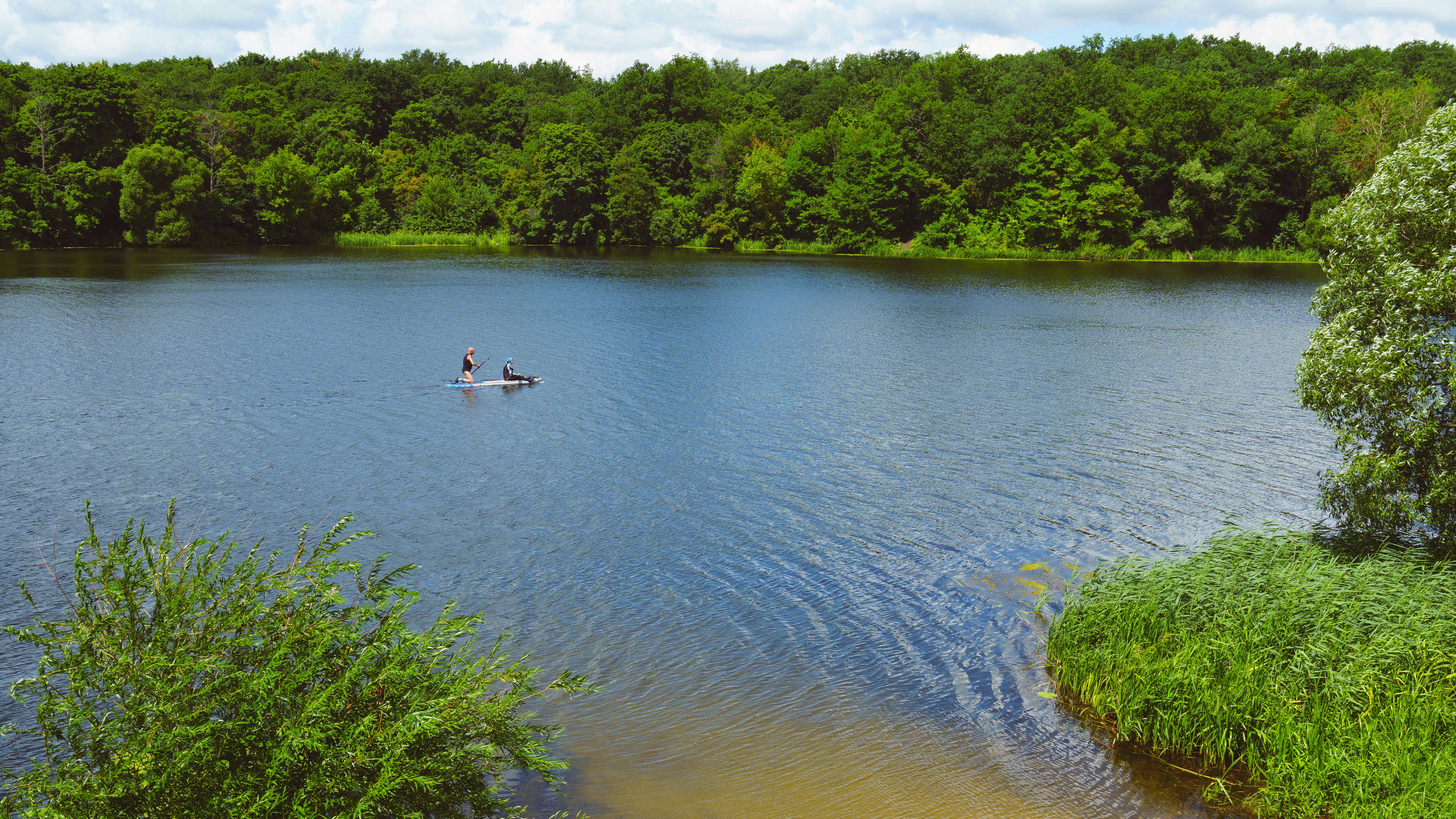 Quiet Paddle on a Serene Lake Amid Green Canopy
