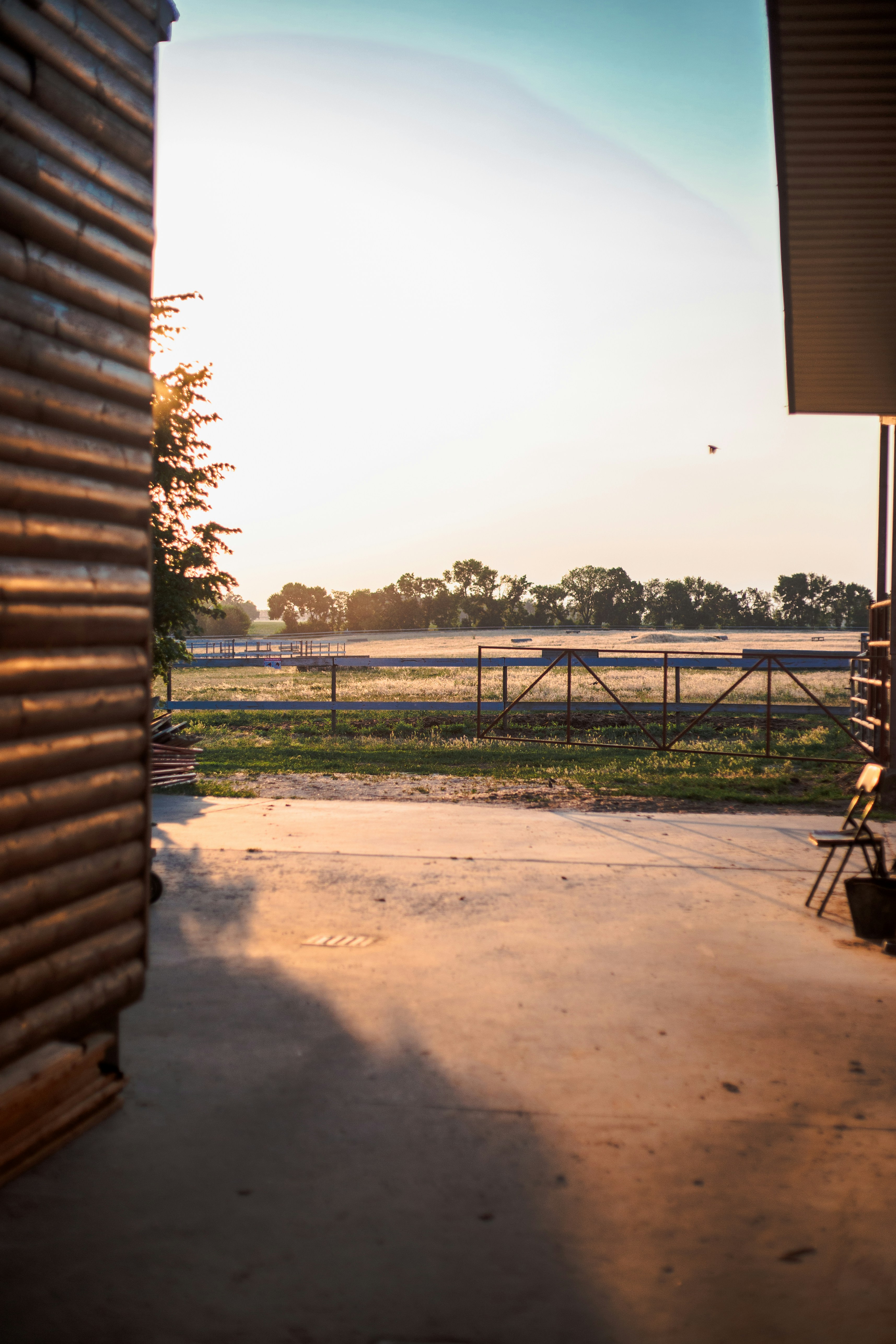 Quiet Farmyard at Golden Hour framed by Barn Siding