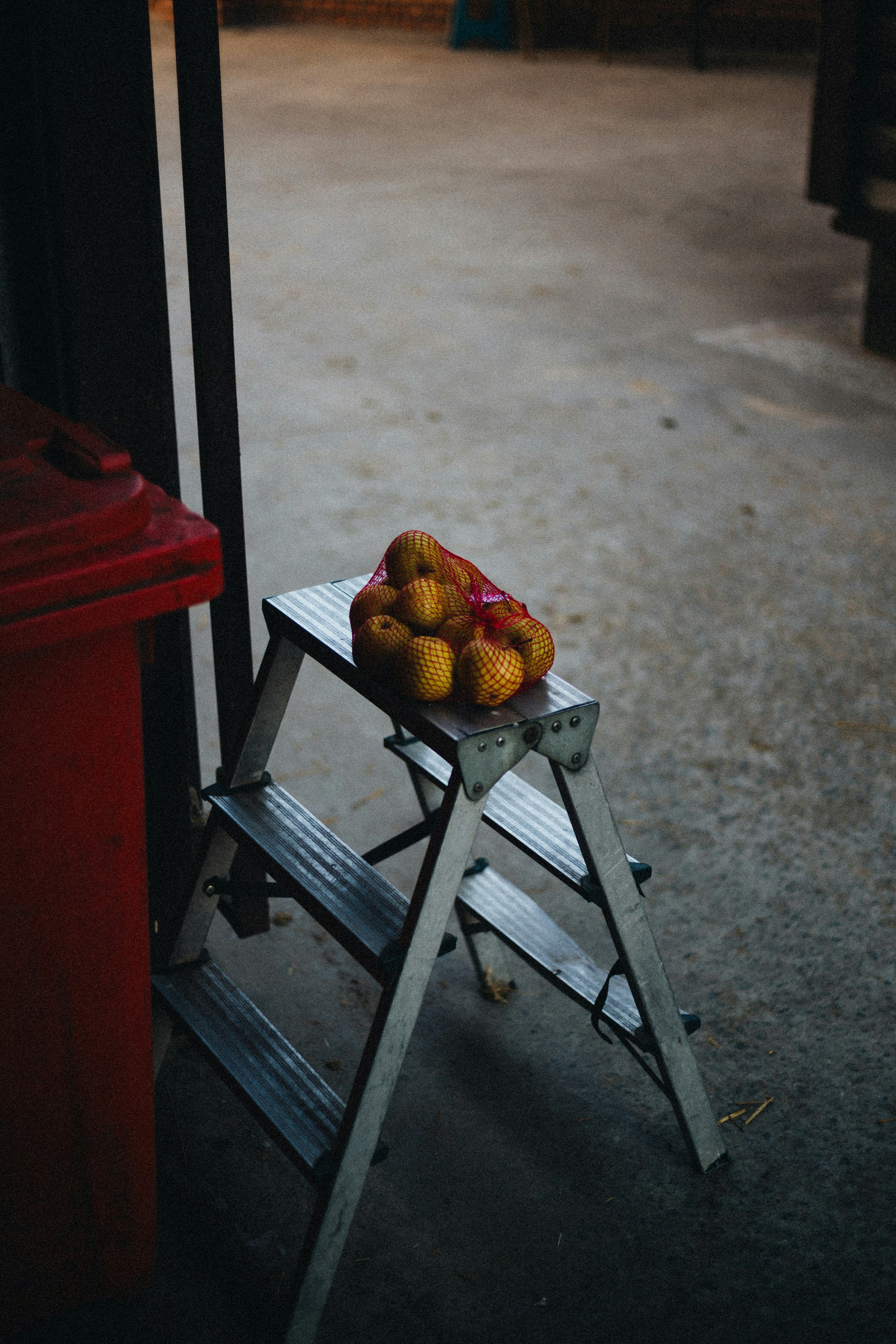 Staircase of Citrus: A Small Still Life in a Backstage Alley