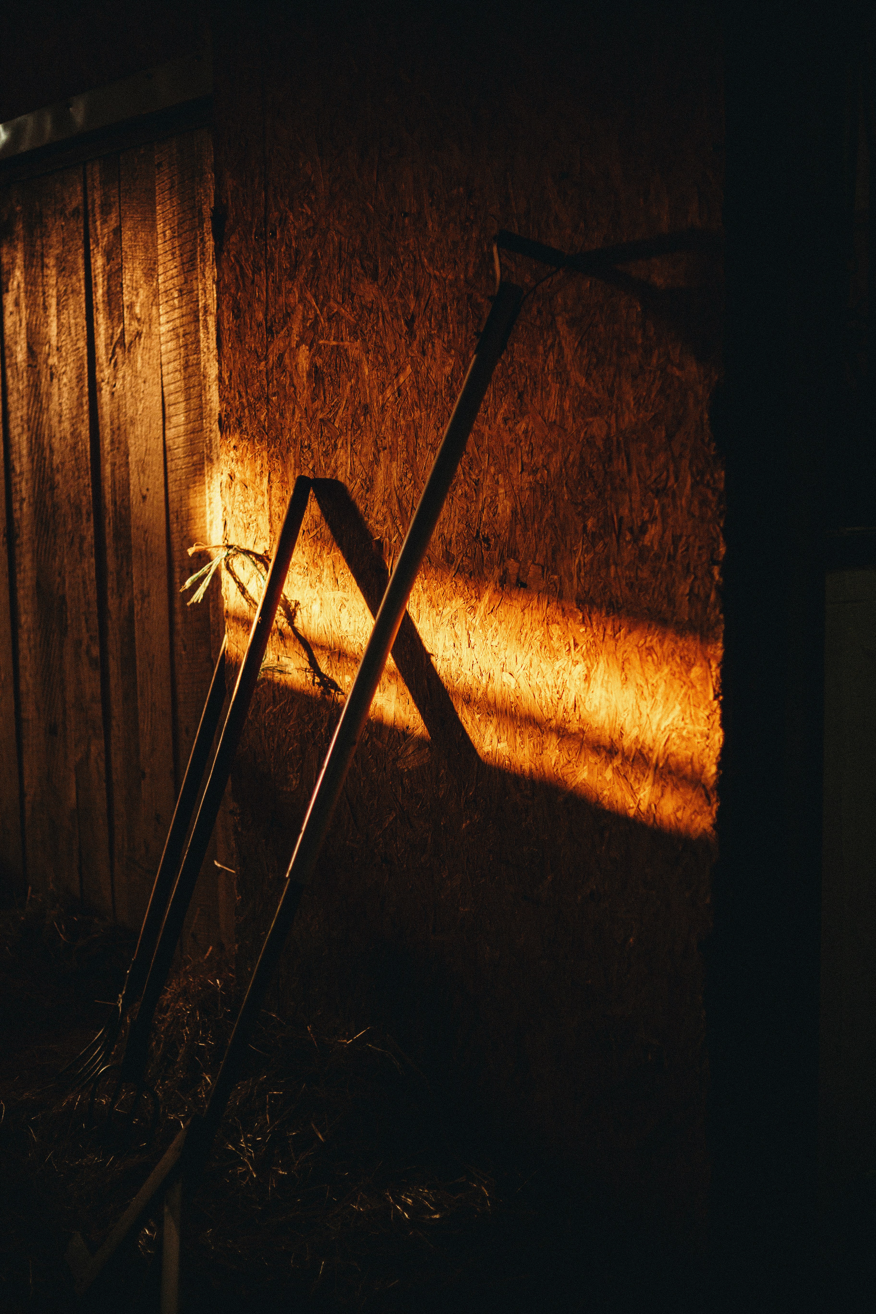 Rusted ladder silhouette in a dimly lit shed, caught in a warm beam