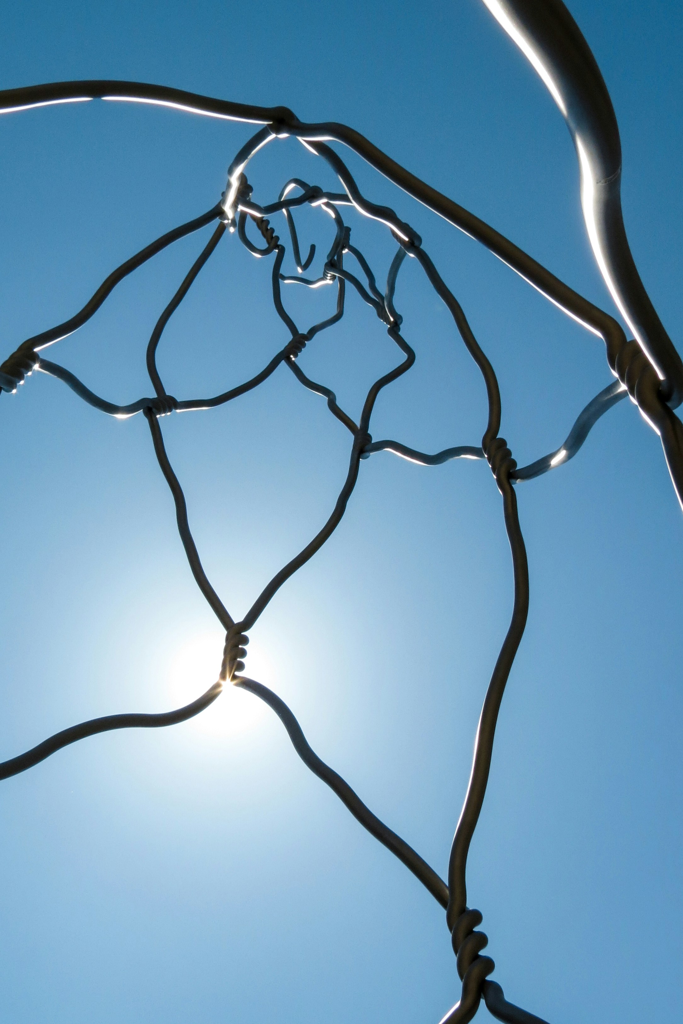 Sunlit Mesh: A close-up of a tangled metal frame against a bright sky