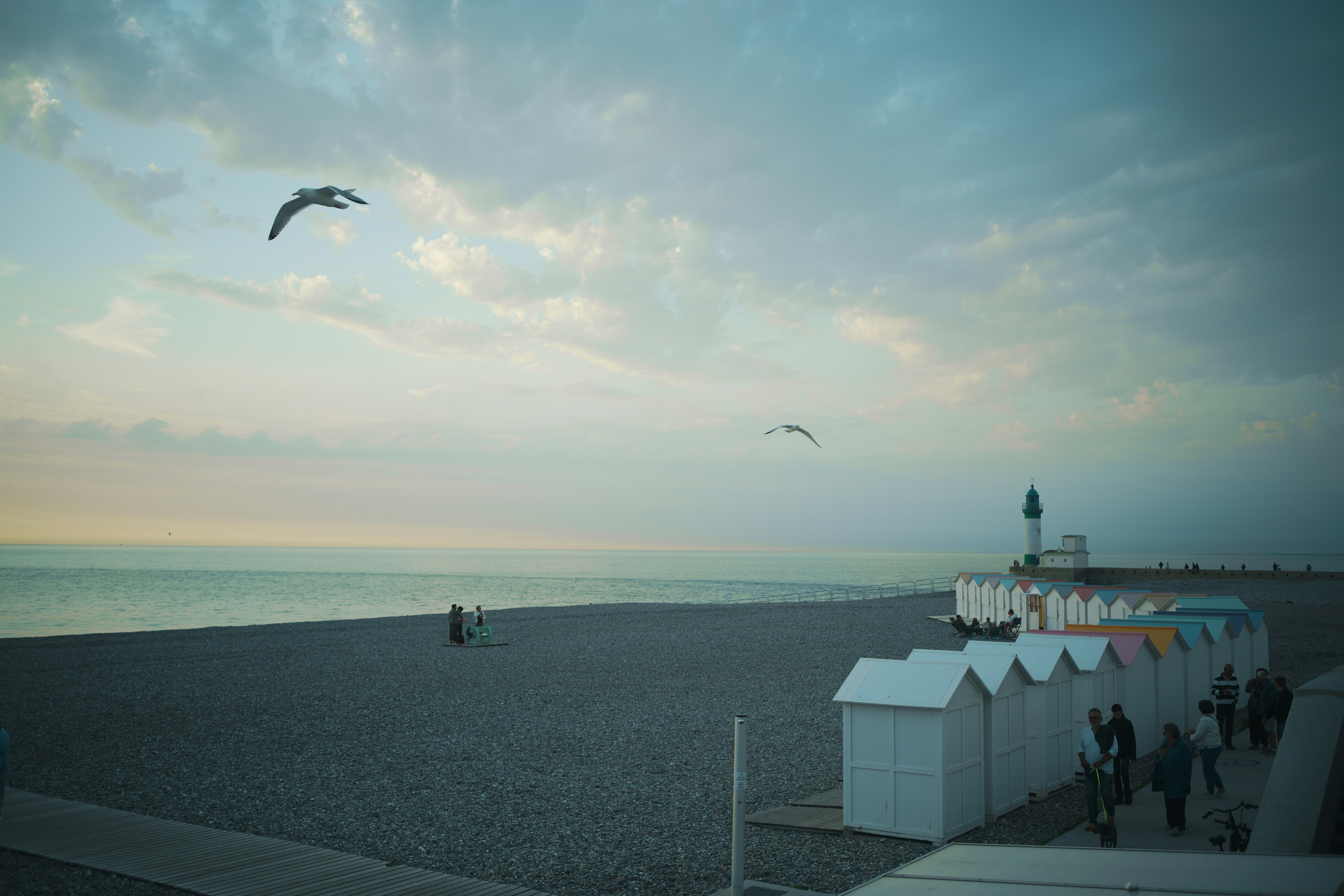 Evening light over a pebble beach with small beach huts along the right and a calm sea; two seagulls soar above the horizon as a few visitors stroll near the shore.