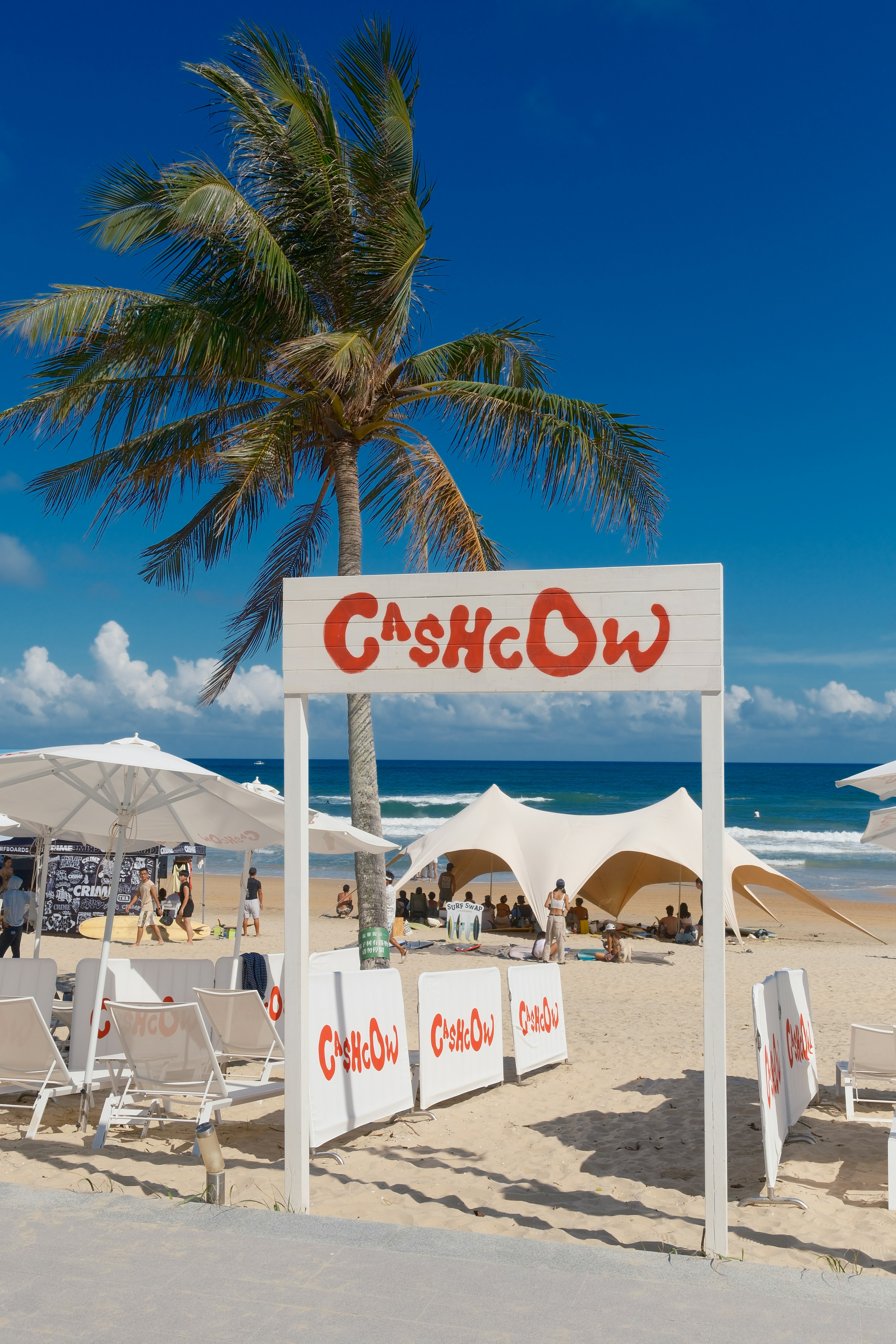 Cash Cow Beach Sign Under a Swaying Palm